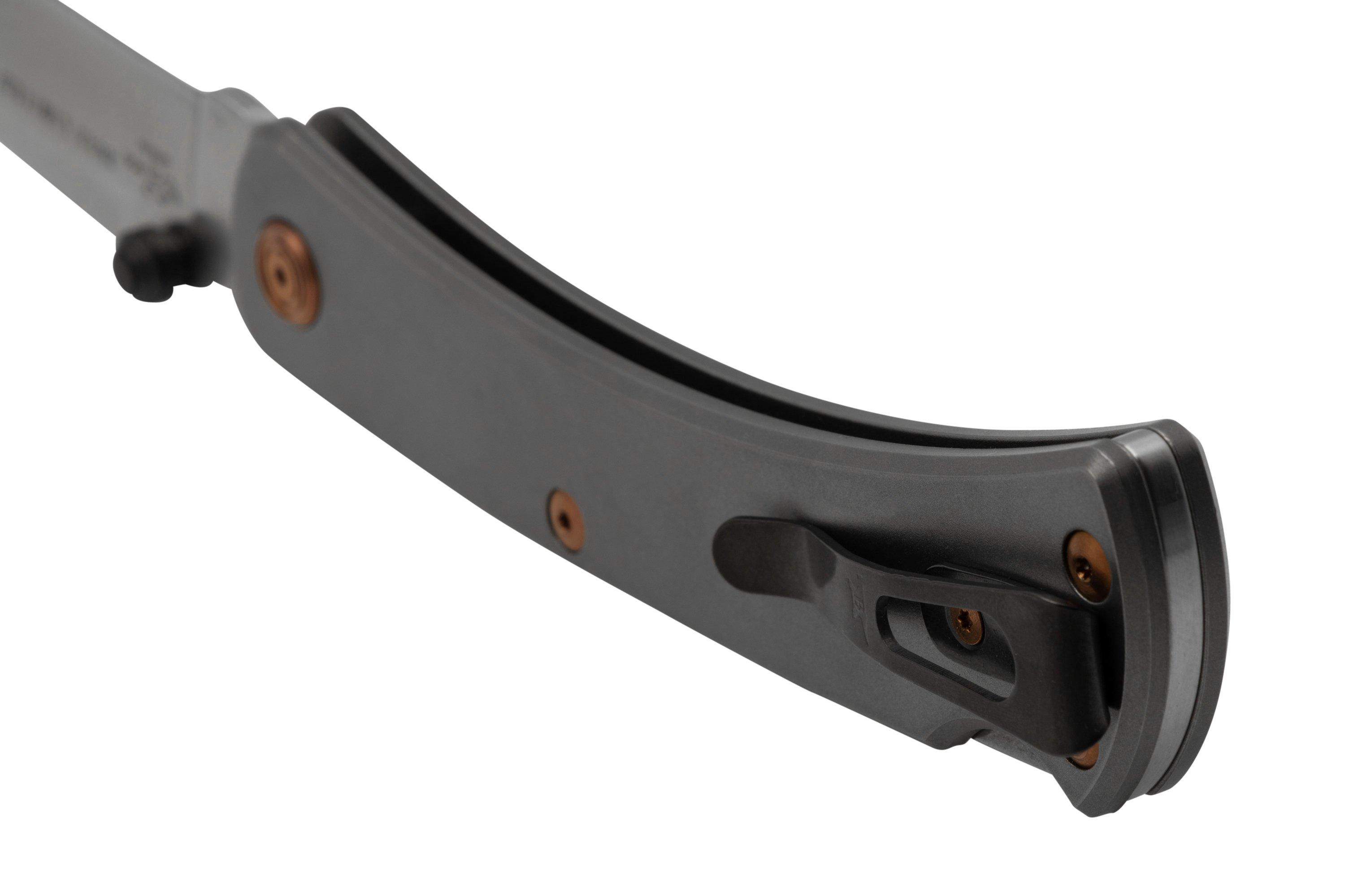 Buck 110 slim pro TRX Titanium, 0110GYSLE1 Limited, pocket knife ...