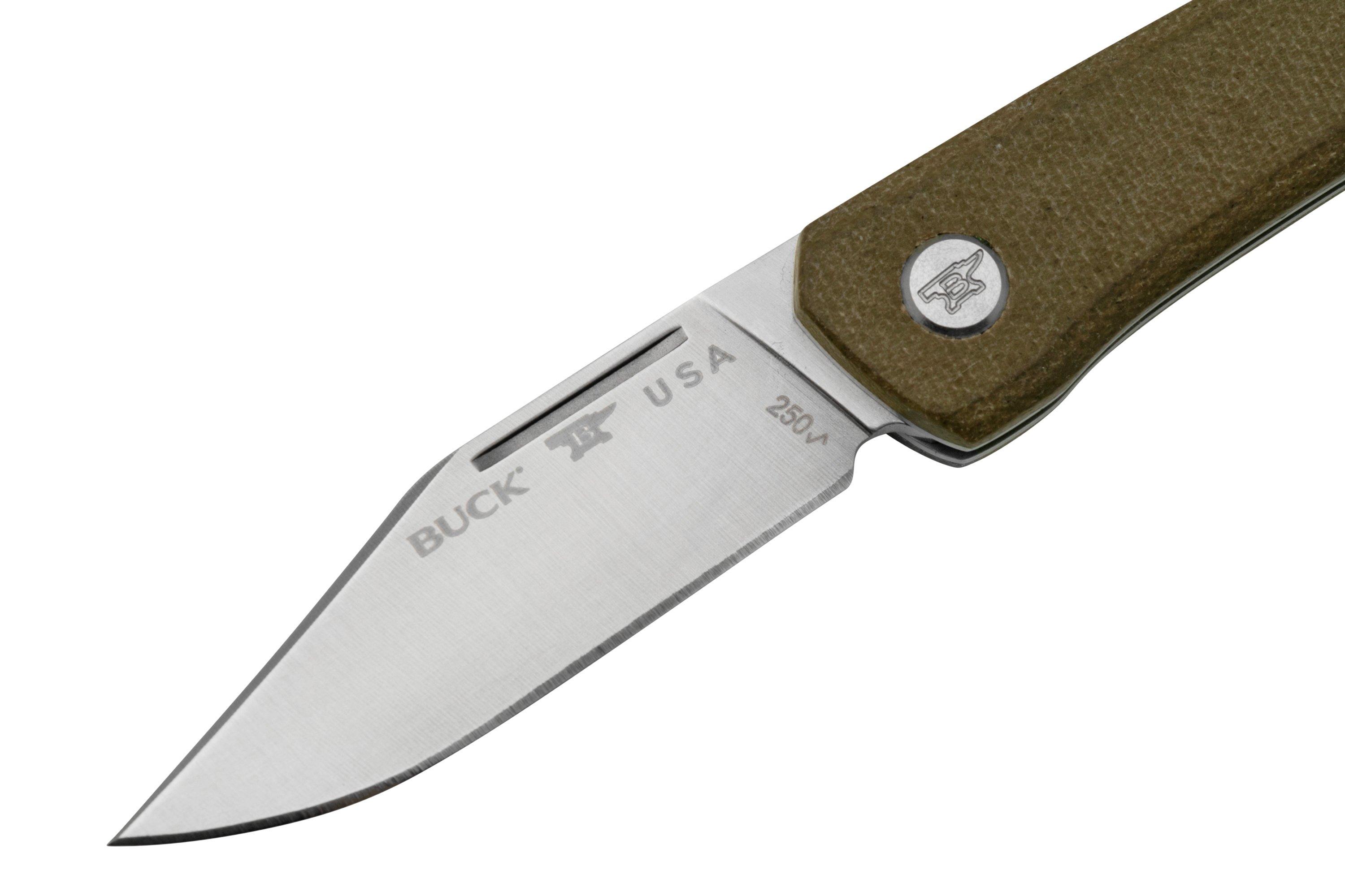 Buck Saunter 0250GRS1, Clip Point, Green Micarta, pocket knife ...