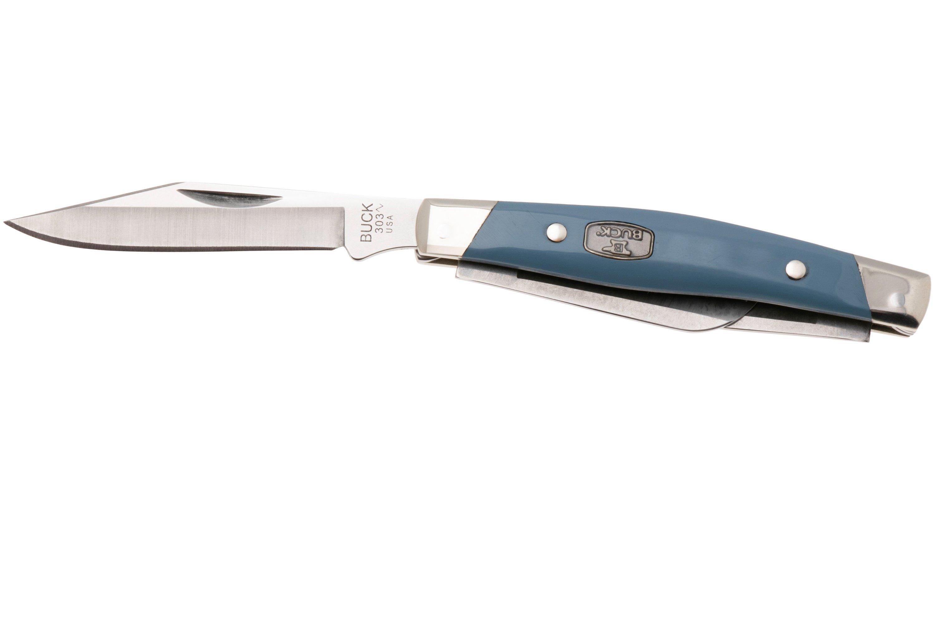 Buck Cadet 0303BLS Satin 420HC, Blue Synthetic Nickel Silver, pocket ...
