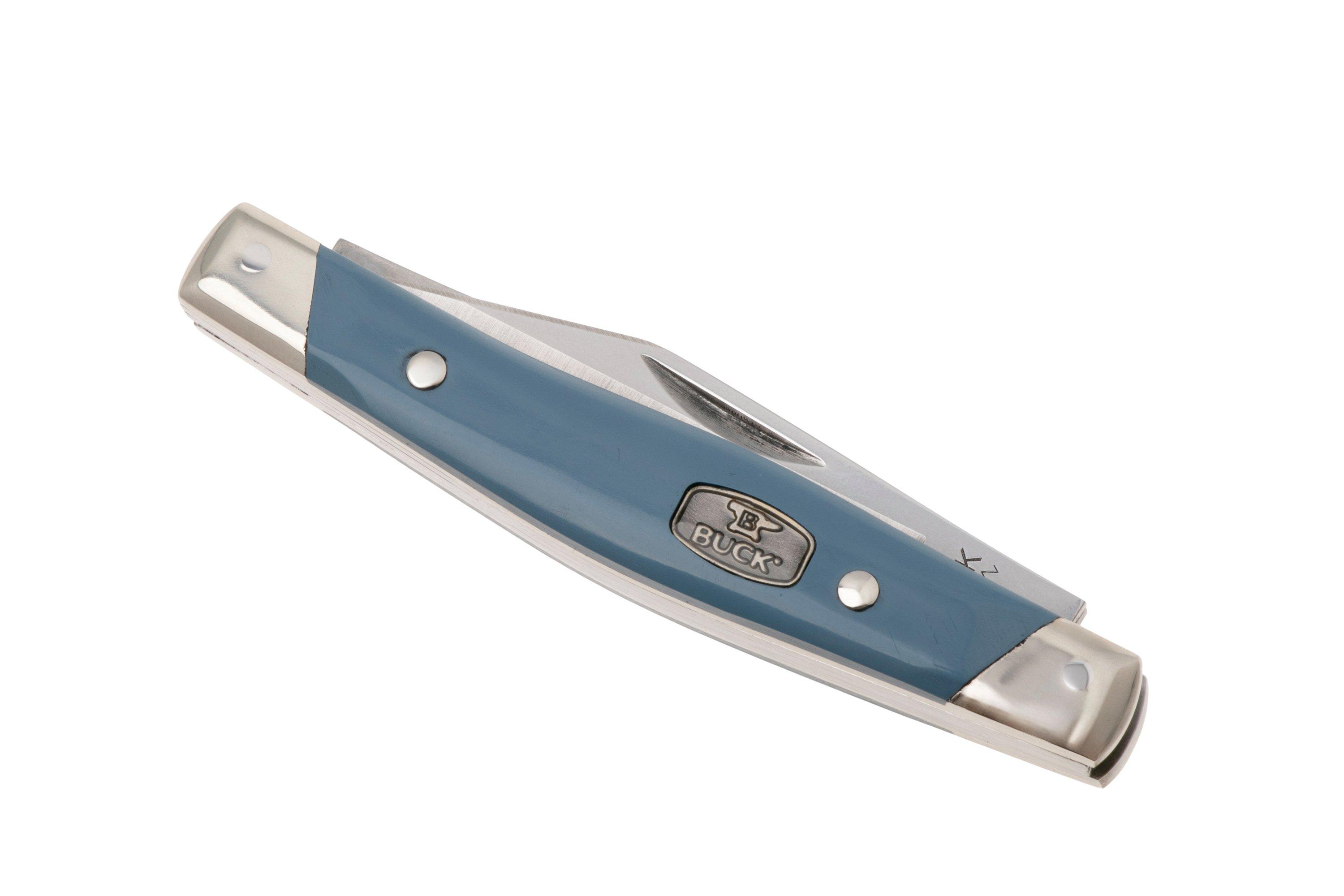 Buck Cadet 0303BLS Satin 420HC, Blue Synthetic Nickel Silver, pocket ...