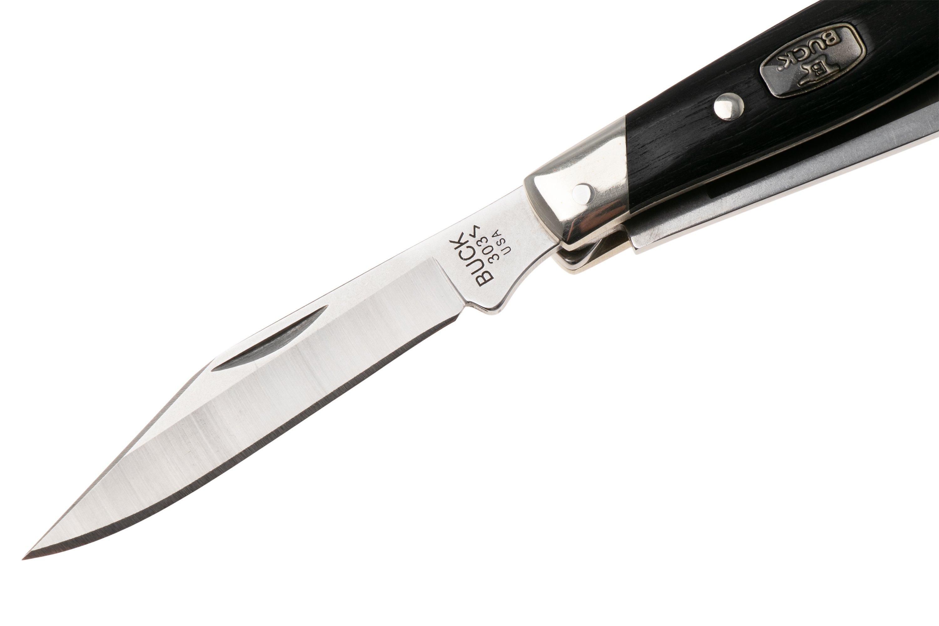Buck Cadet 0303BRS2-B, Satin 420HC, Ebony Wood, Nickel Silver pocket ...