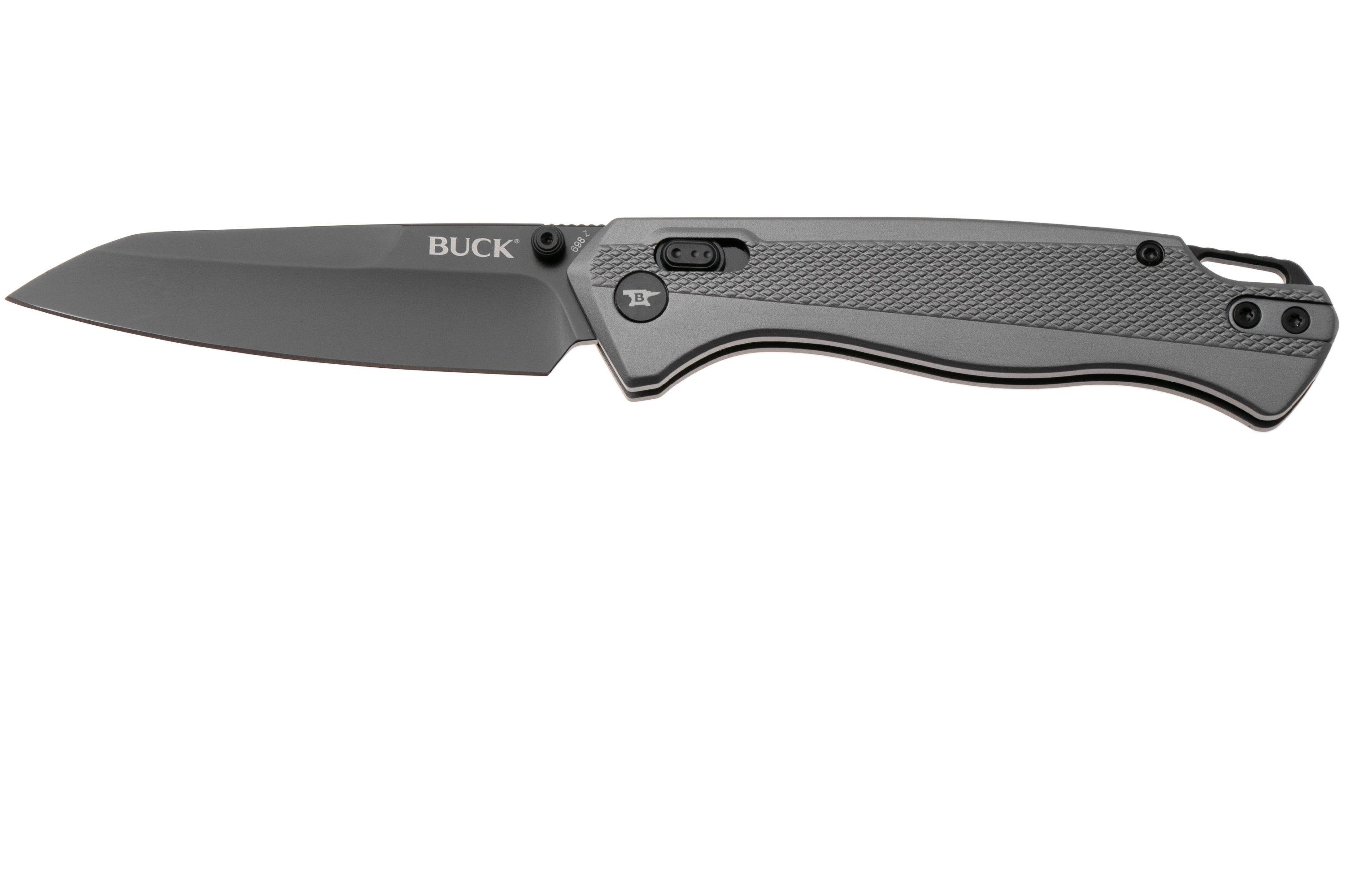 Buck 698 Ferrox 0698GYS Black D2, Silver Aluminum, pocket knife ...