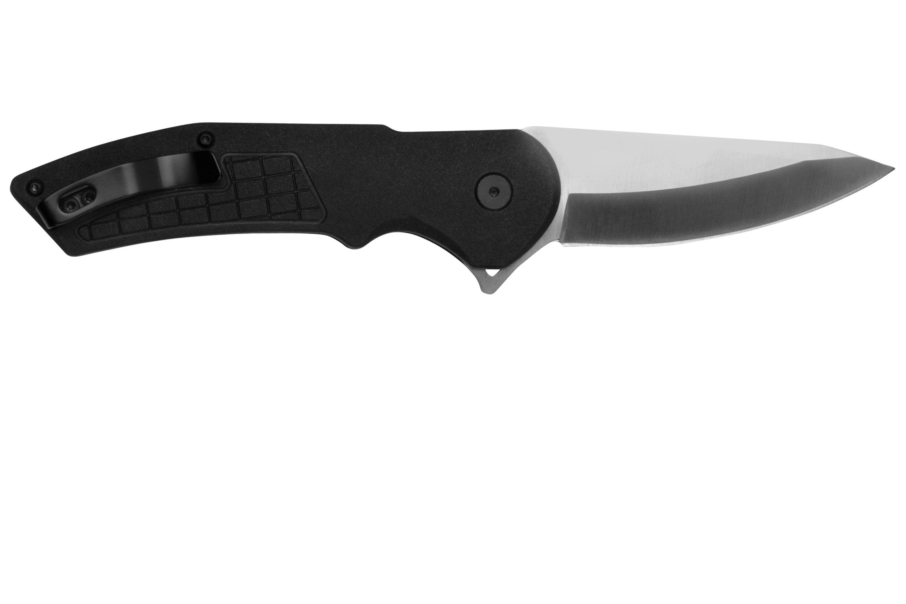 Buck Hexam Black 261BKS coltello da tasca | Fare acquisti ...