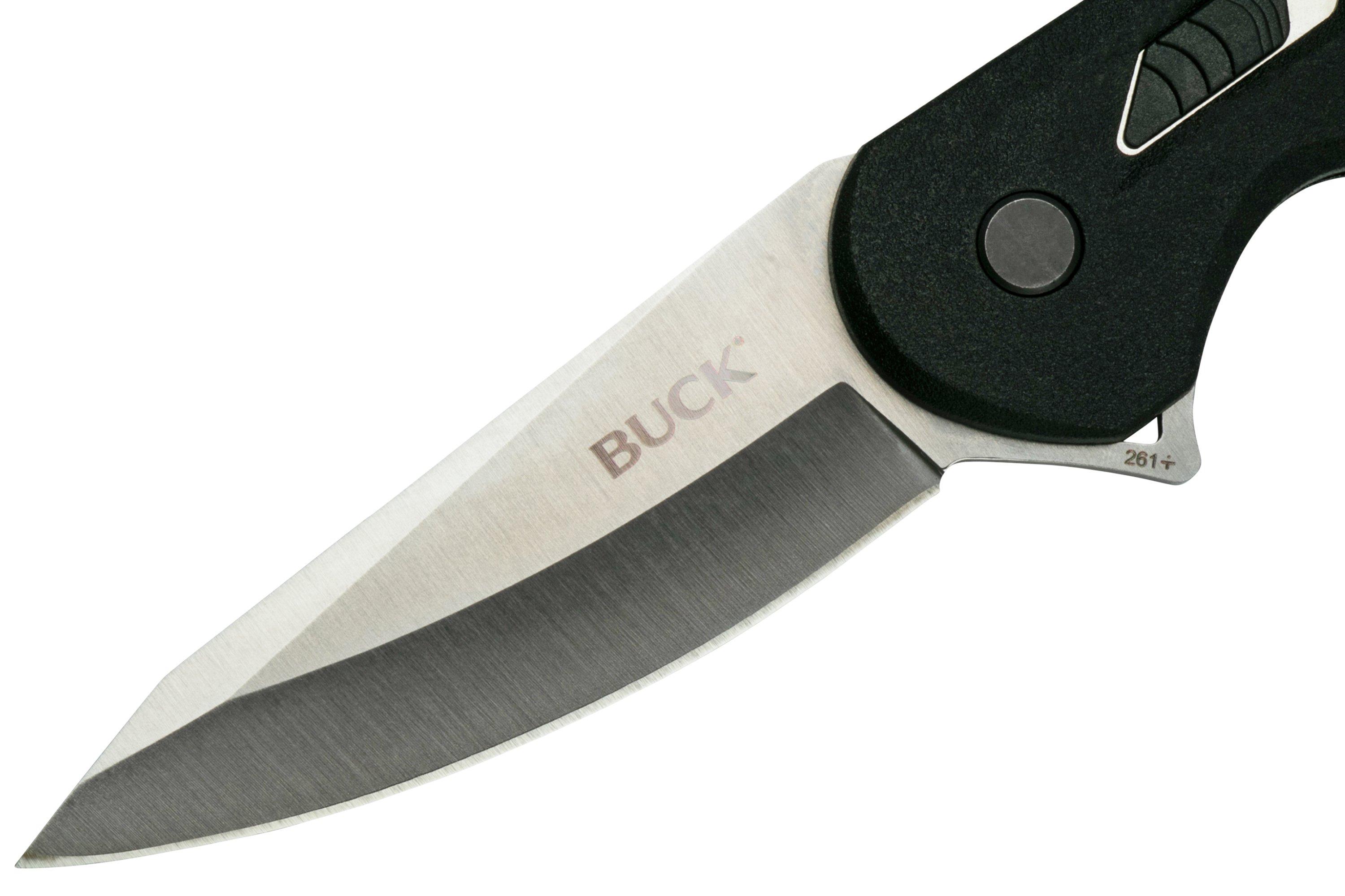 Buck Hexam Black 261BKS pocket knife | Advantageously shopping at ...