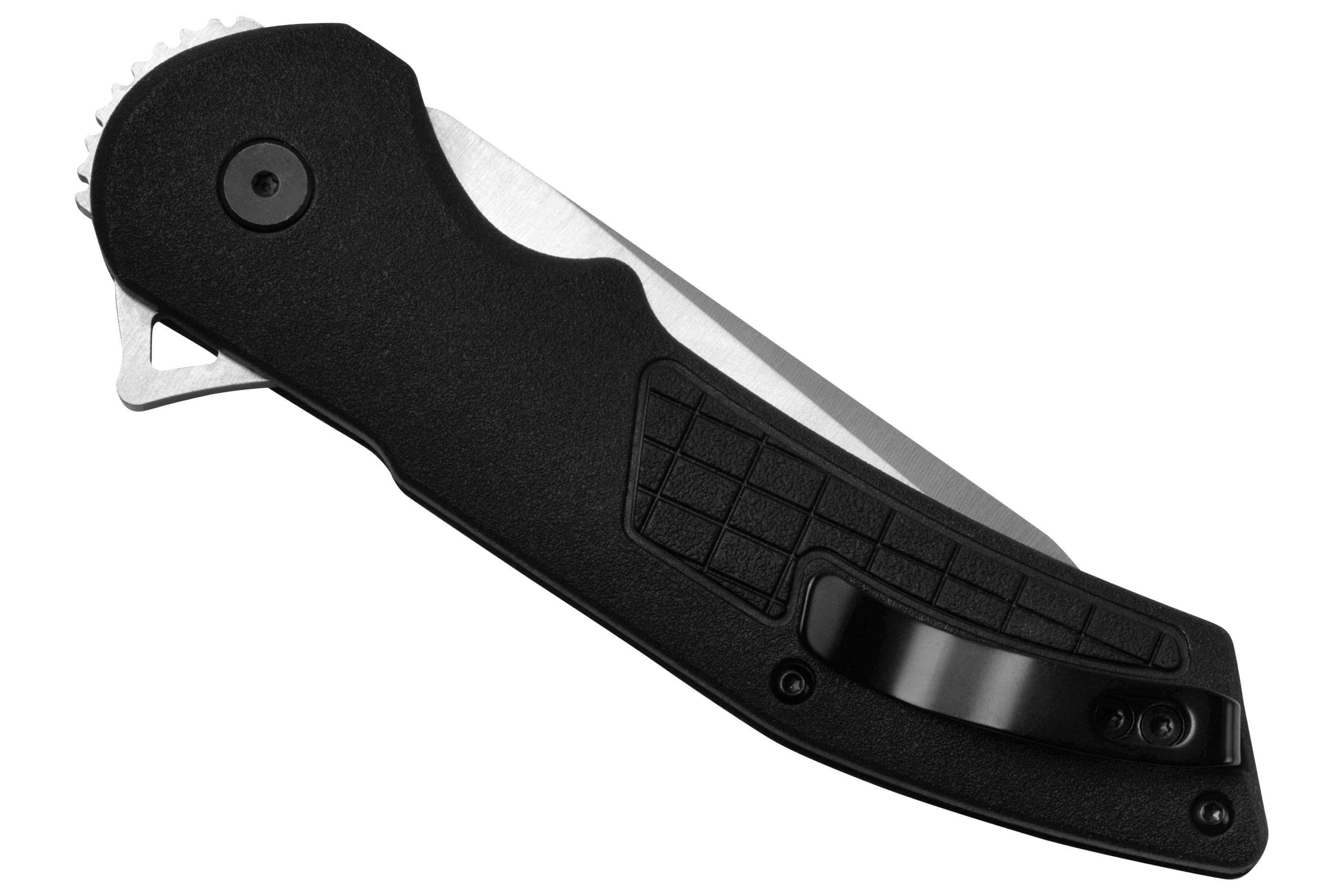 Buck Hexam Black 261BKS pocket knife | Advantageously shopping at ...