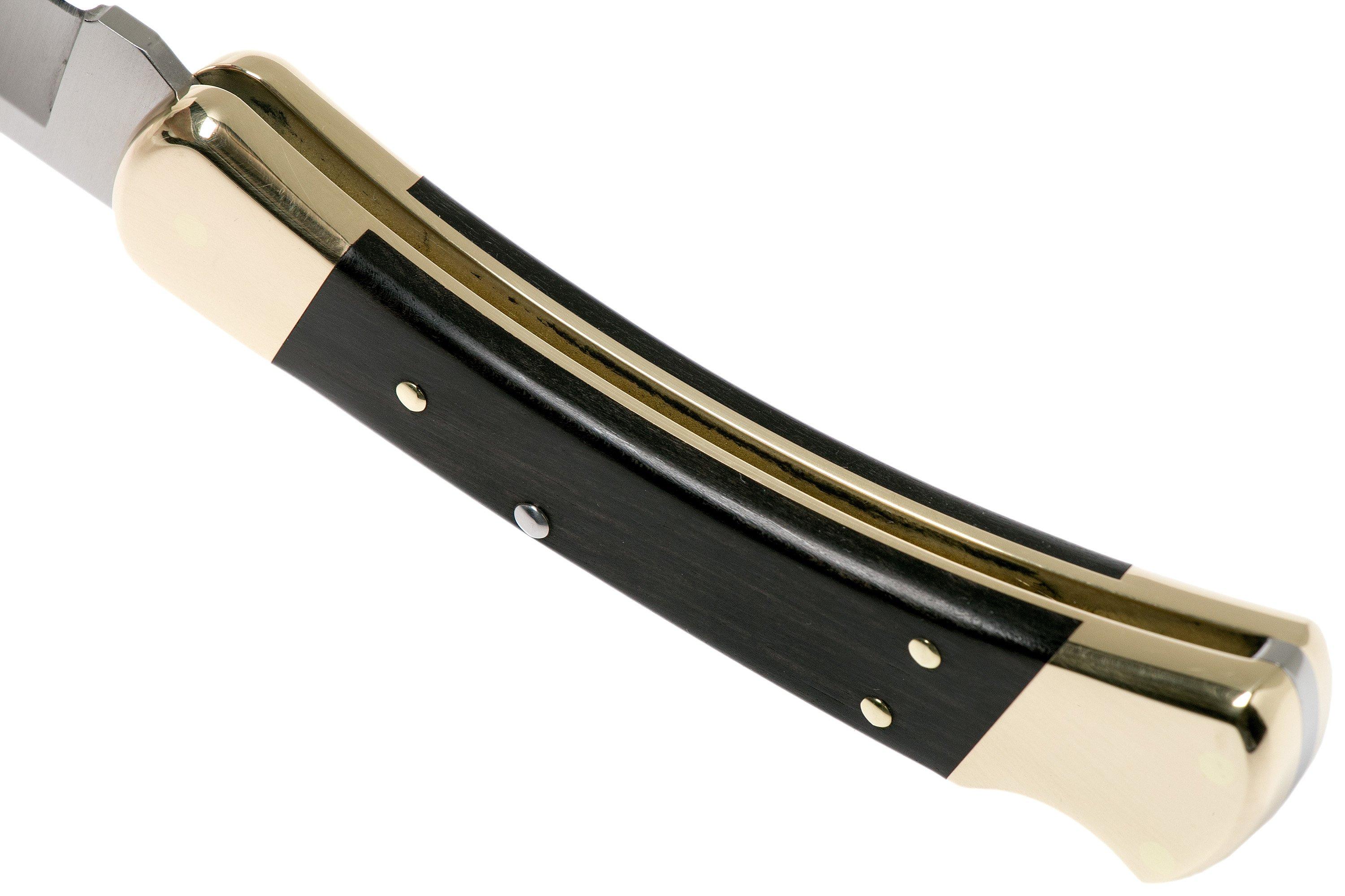 Buck 110 Folding Hunter Ebony navaja | Compras con ventajas en ...