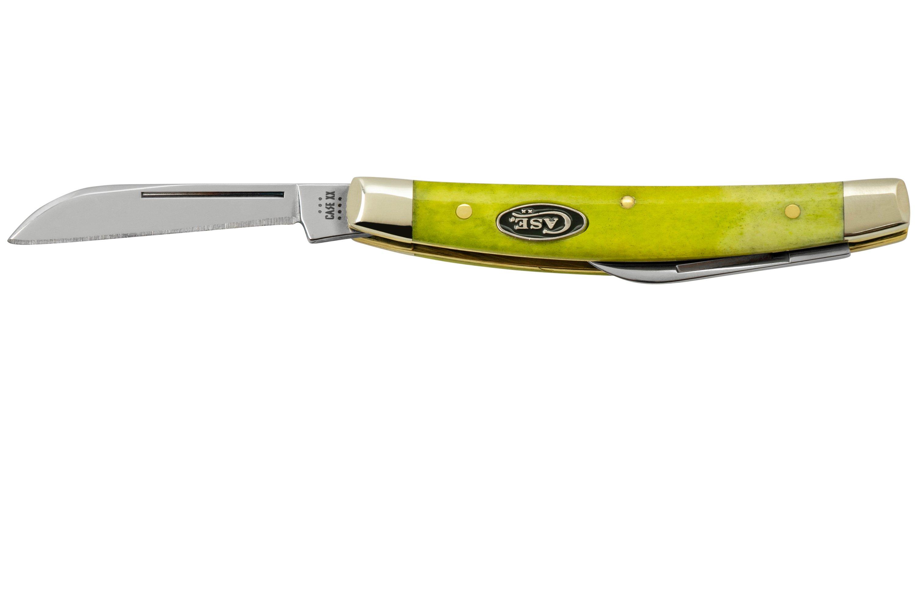 Case Small Congress 53032 Green Apple Bone, coltello da tasca | Fare ...