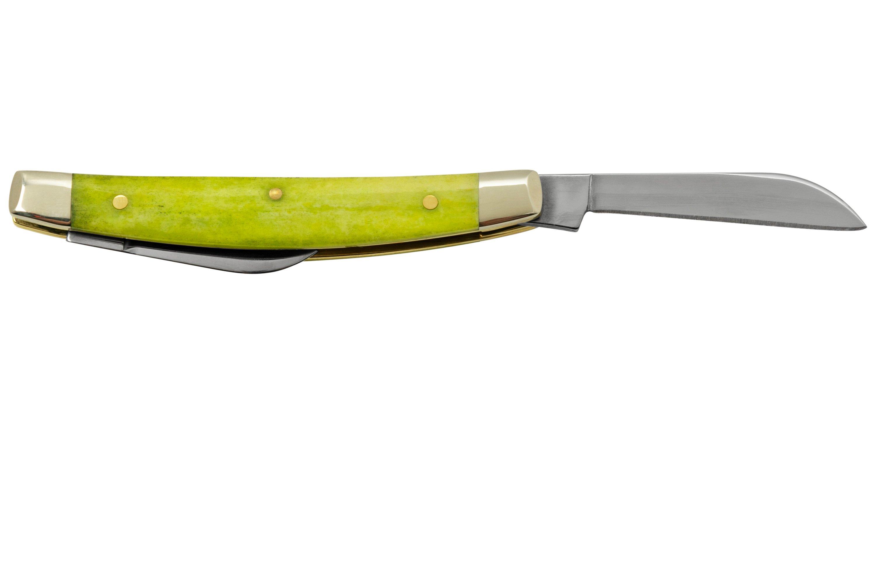 Case Small Congress 53032 Green Apple Bone, coltello da tasca | Fare ...