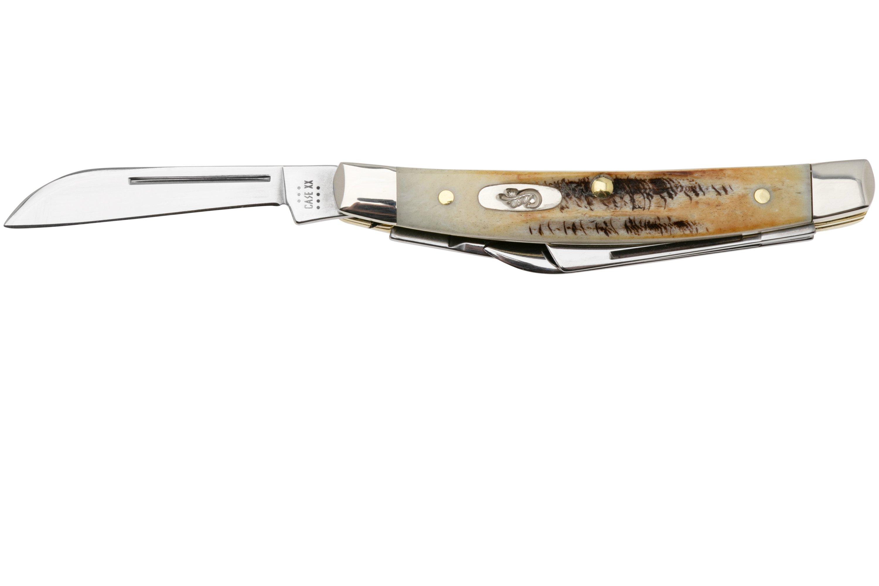 Case Small Congress 65337 Case 6.5 BoneStag 6.5468 SS canivete ...