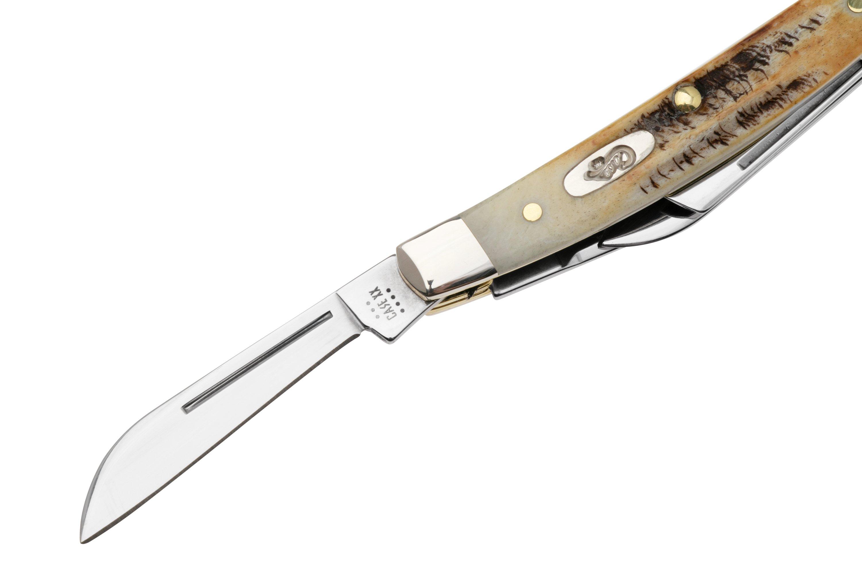 Case Small Congress 65337 Case 6.5 BoneStag 6.5468 SS pocket knife ...