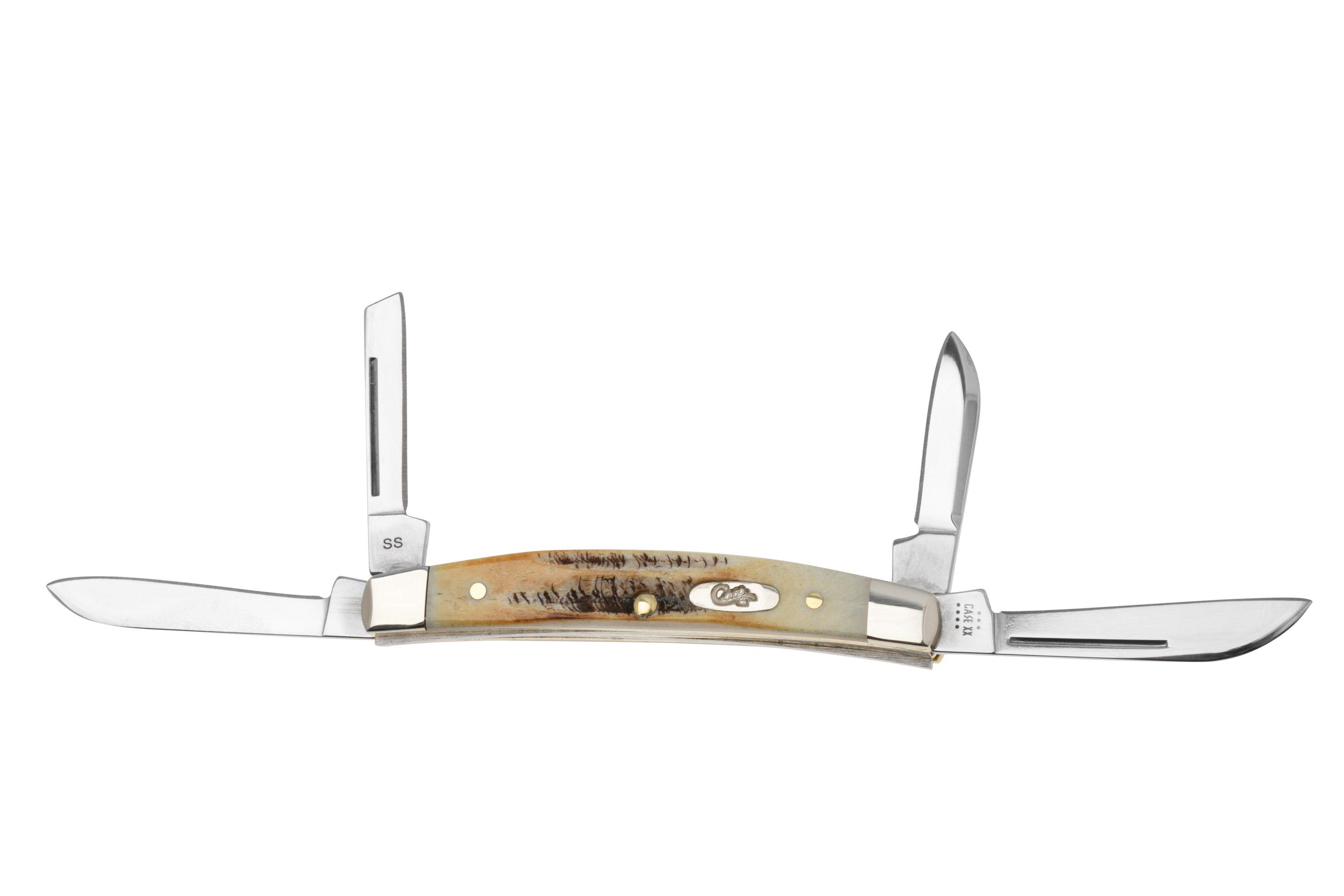 Case Small Congress 65337 Case 6.5 BoneStag 6.5468 SS pocket knife ...