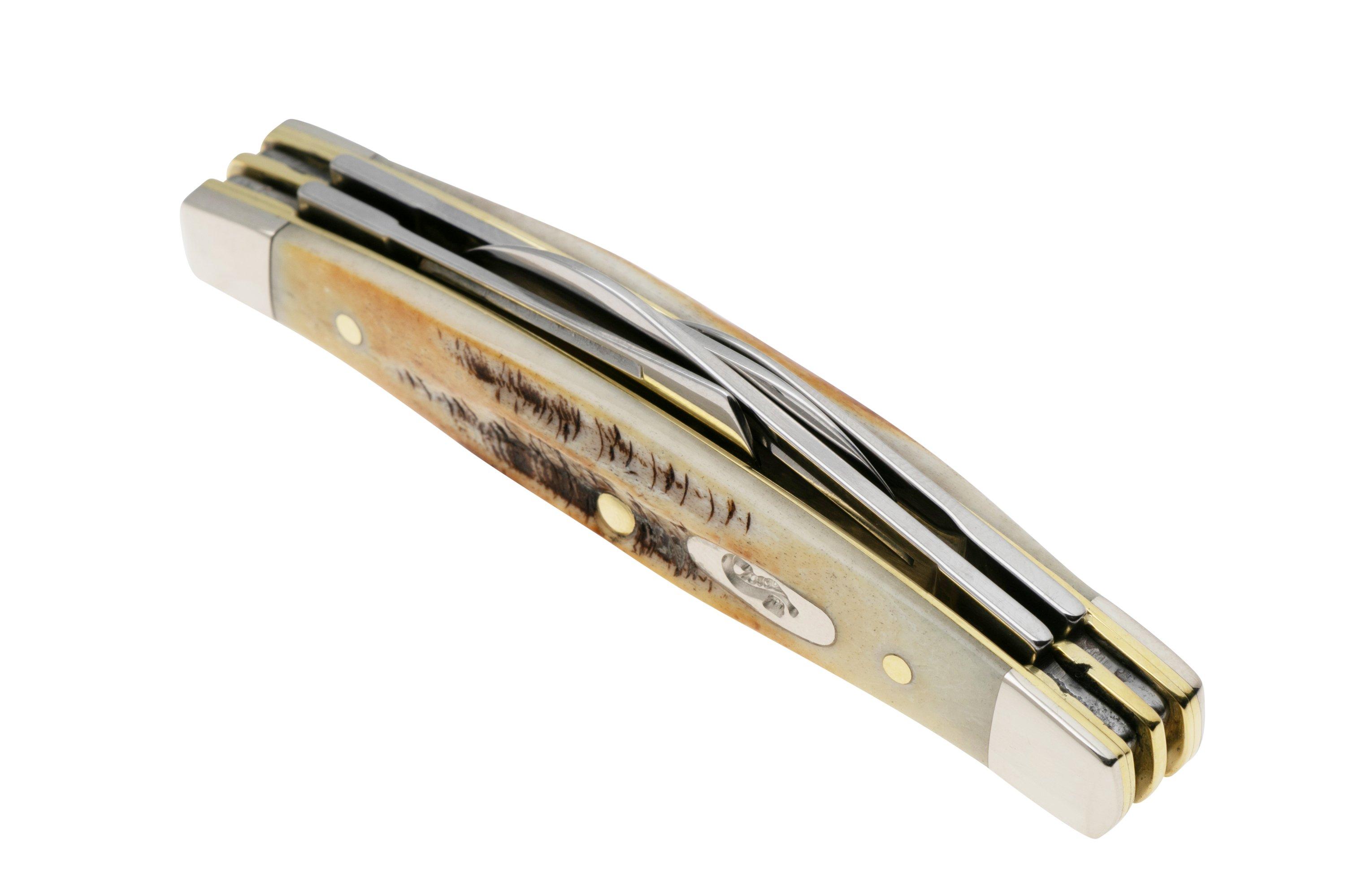 Case Small Congress 65337 Case 6.5 BoneStag 6.5468 SS pocket knife ...