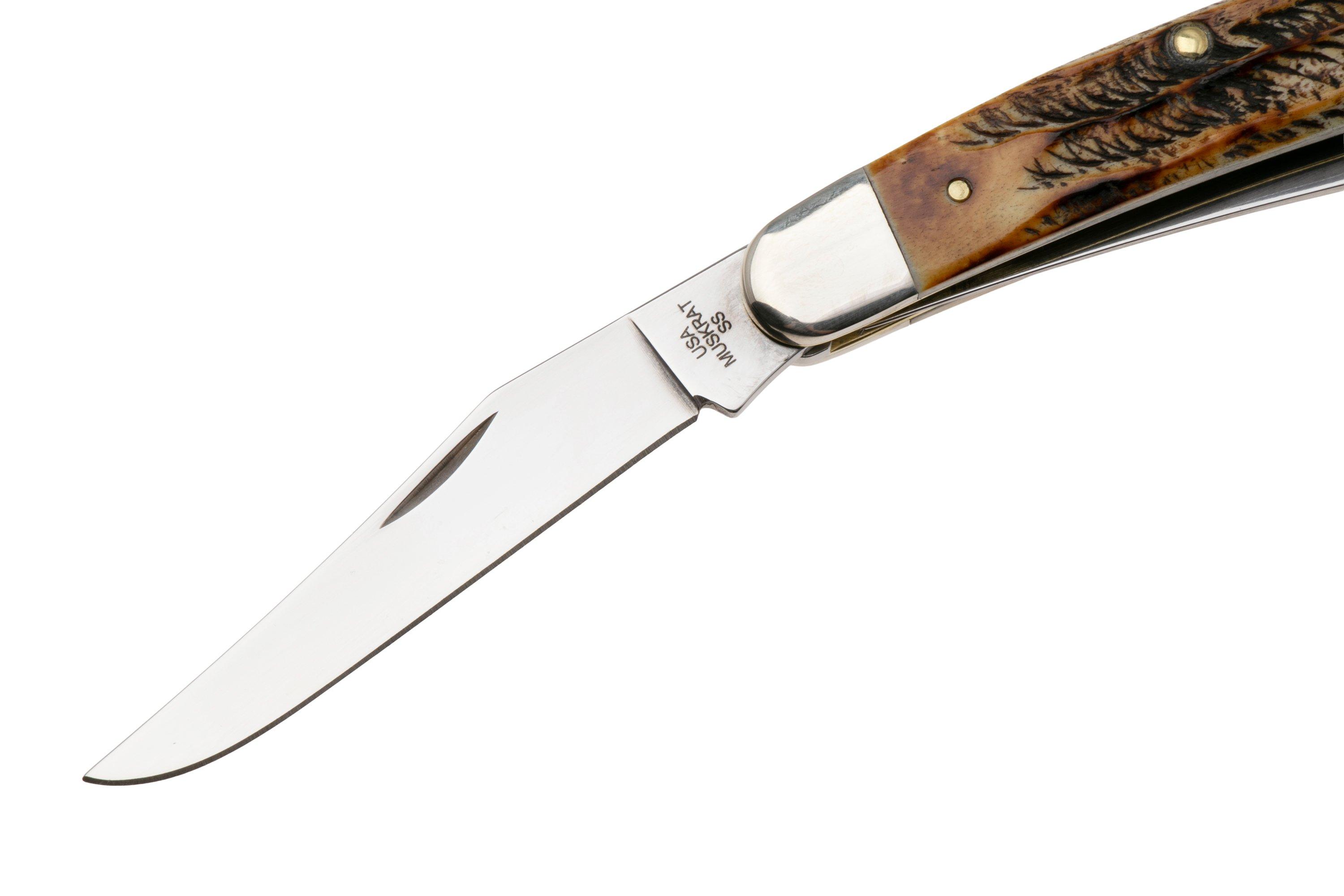 Case Muskrat 6.5 BoneStag, 65346, MUSKRAT SS pocket knife ...