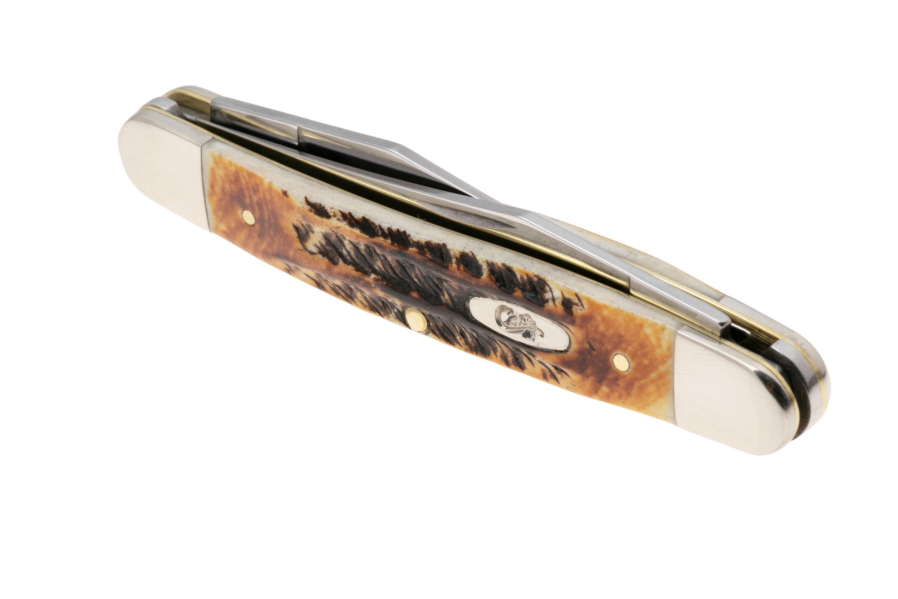 Case Muskrat 6.5 BoneStag, 65346, MUSKRAT SS pocket knife ...