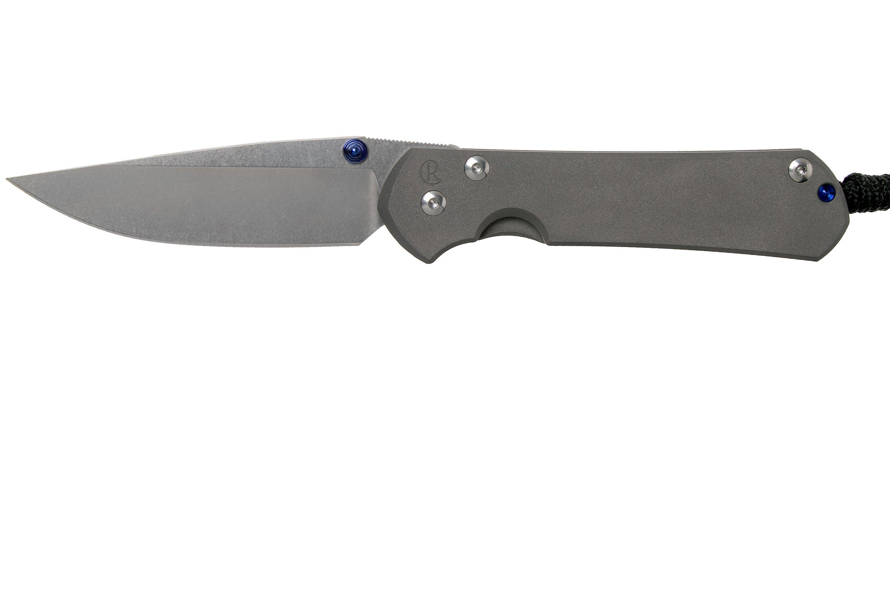 Chris Reeve Sebenza 31 Large Plain L31-1000 pocket knife ...