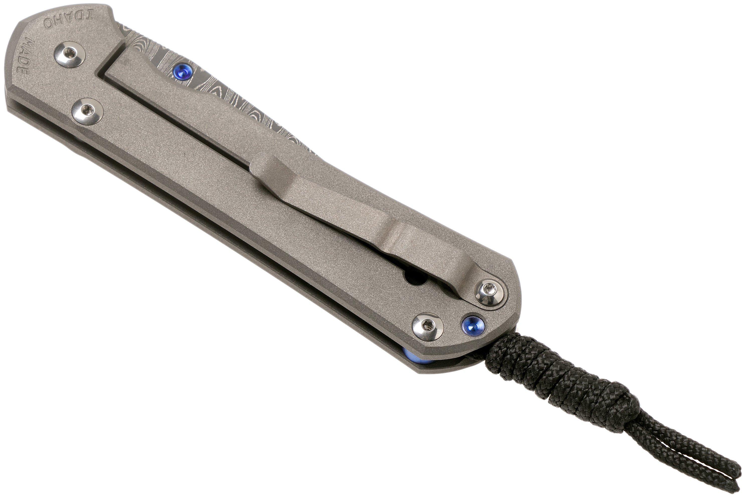 Chris Reeve Sebenza 31 Large Plain Ladder Damascus L31-1004 coltello da ...