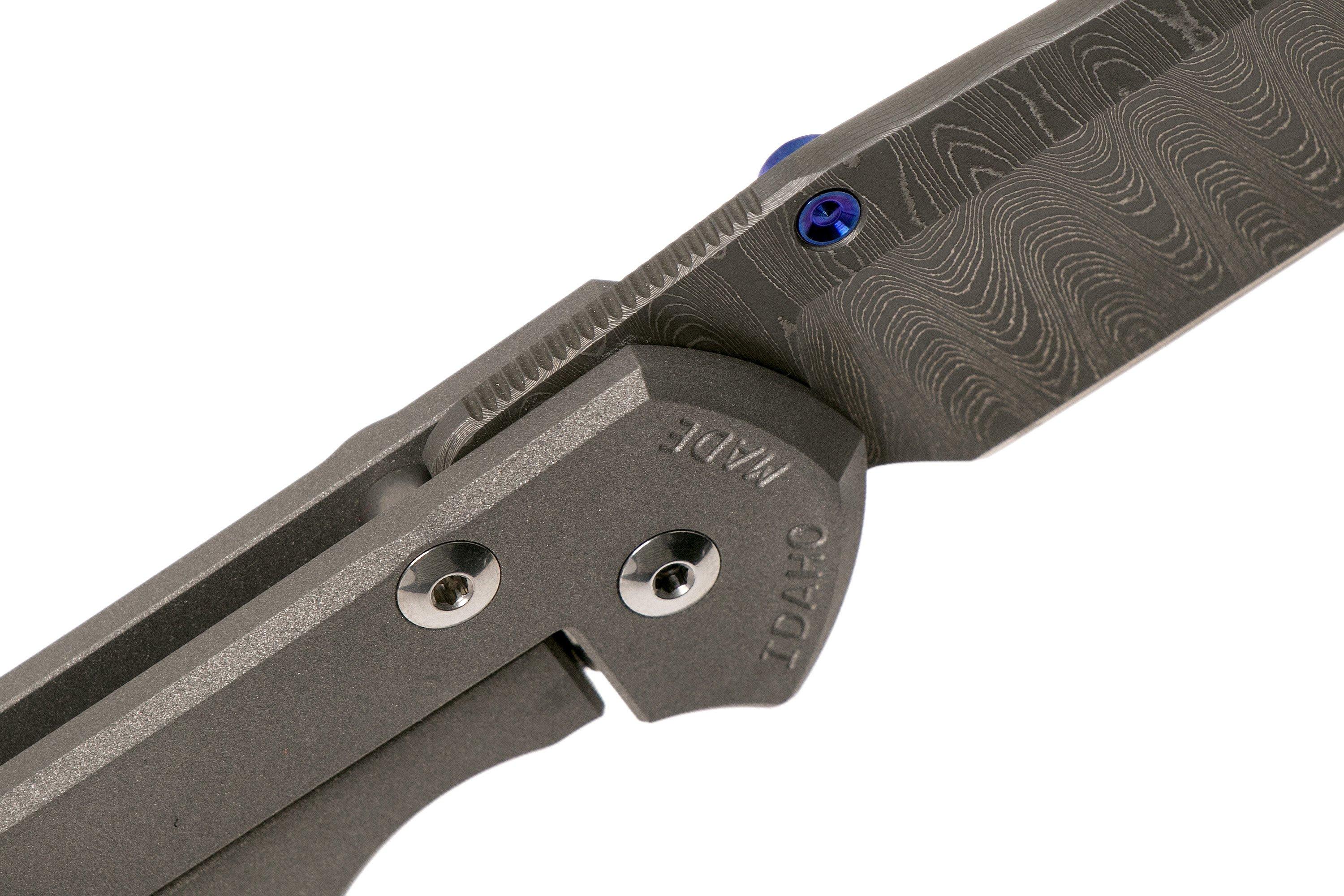 Chris Reeve Sebenza 31 Large Plain Ladder Damascus L31-1004 pocket ...