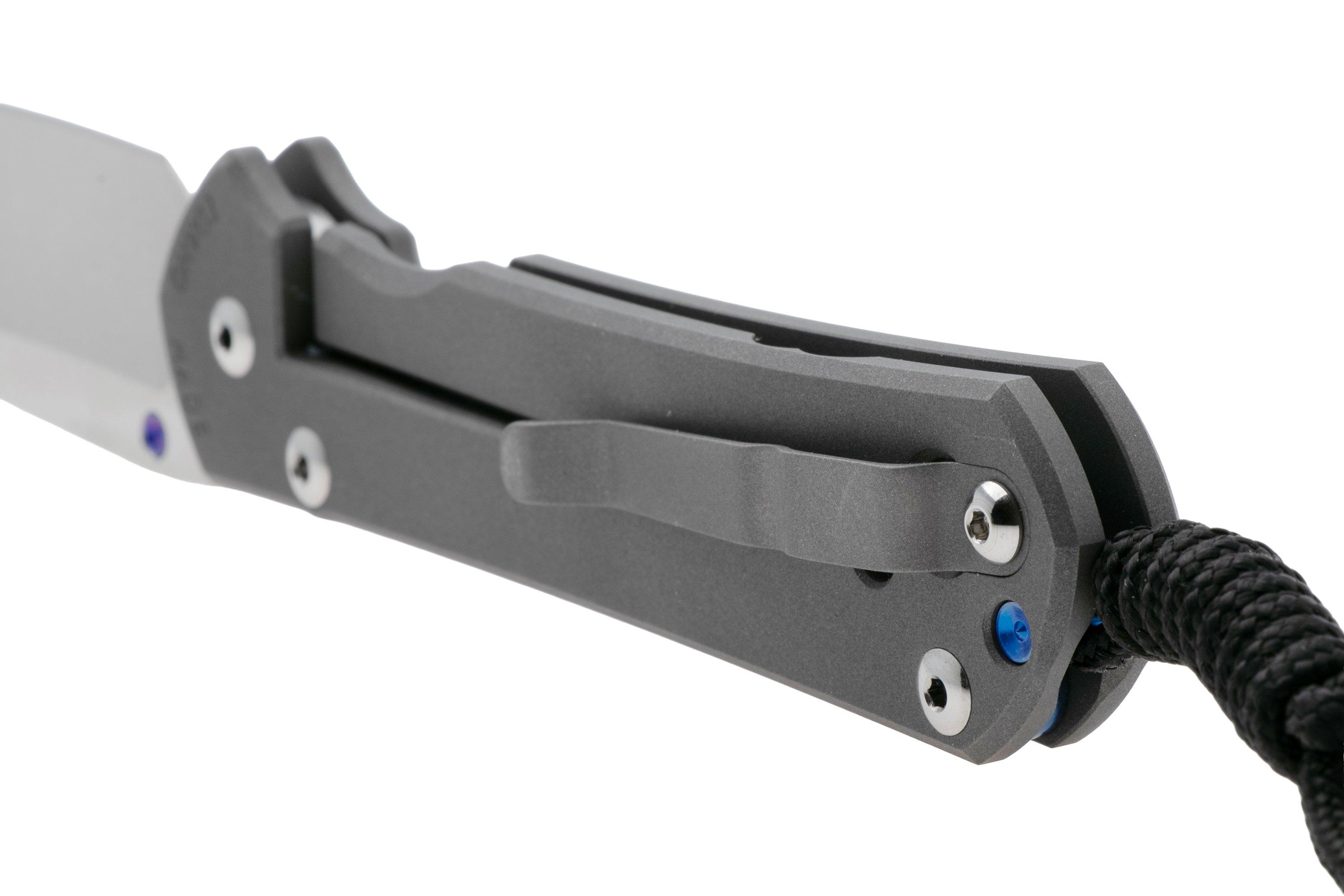 Chris Reeve Large Sebenza 31 Insingo L31-1008, Stonewashed CPM MagnaCut ...