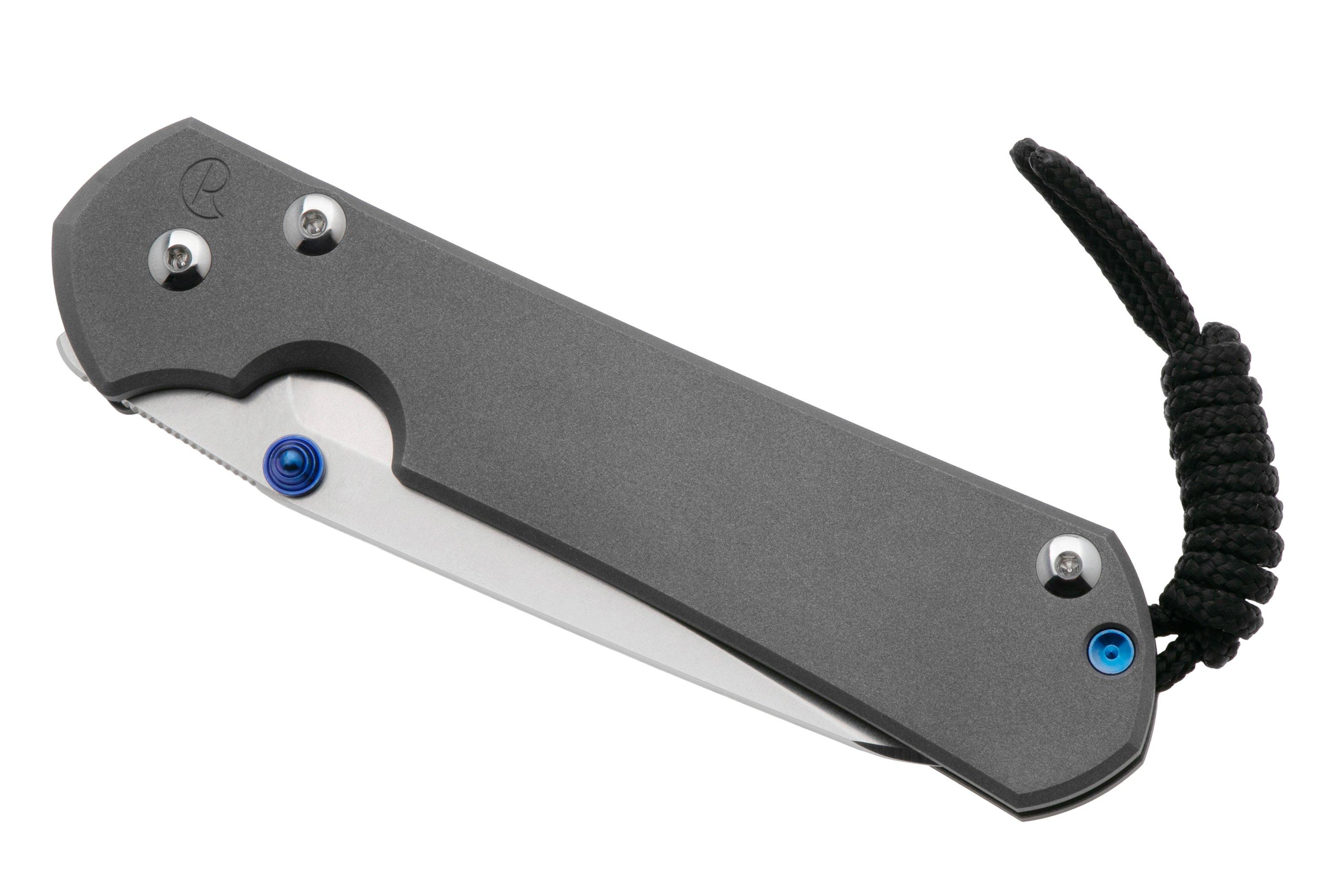 Chris Reeve Large Sebenza 31 Insingo L31-1008, Stonewashed CPM MagnaCut, Sand Blasted Titanium ...