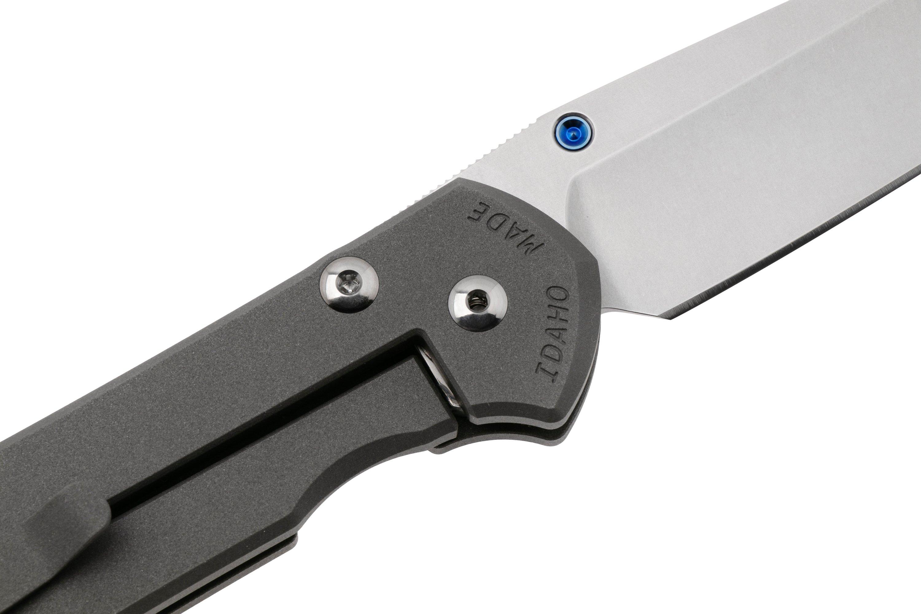 Chris Reeve L31-1010 Large Sebenza 31 Large Plain Tanto pocket knife ...
