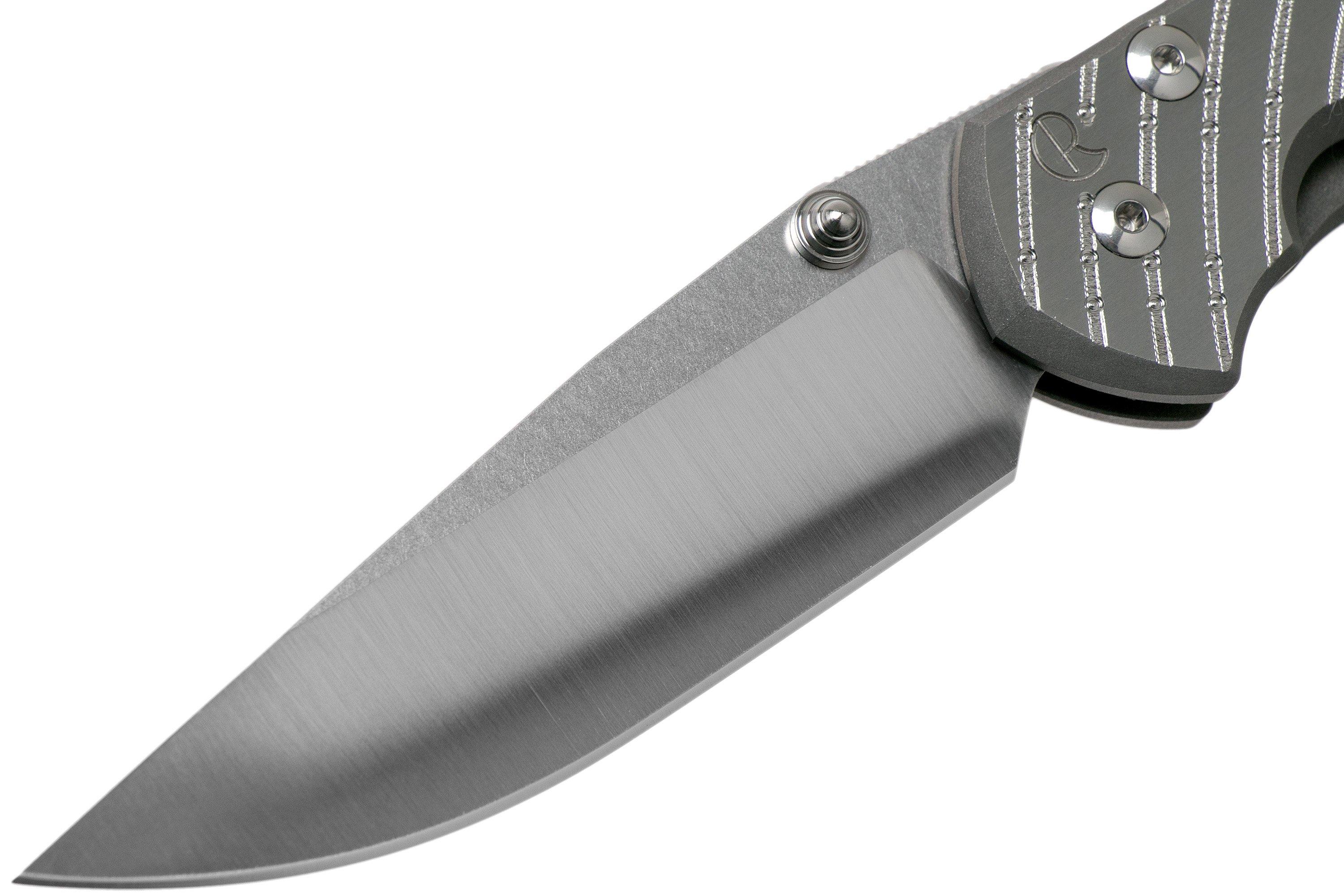 Chris Reeve Large Sebenza 31 Unique Graphics Cabochon Drop Point L31 ...