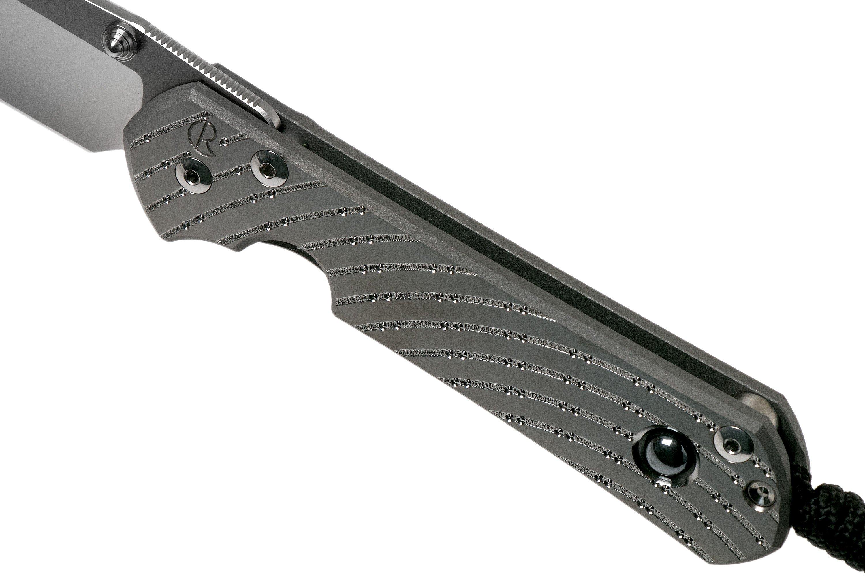 Chris Reeve Large Sebenza 31 Unique Graphics Cabochon Drop Point L31 ...