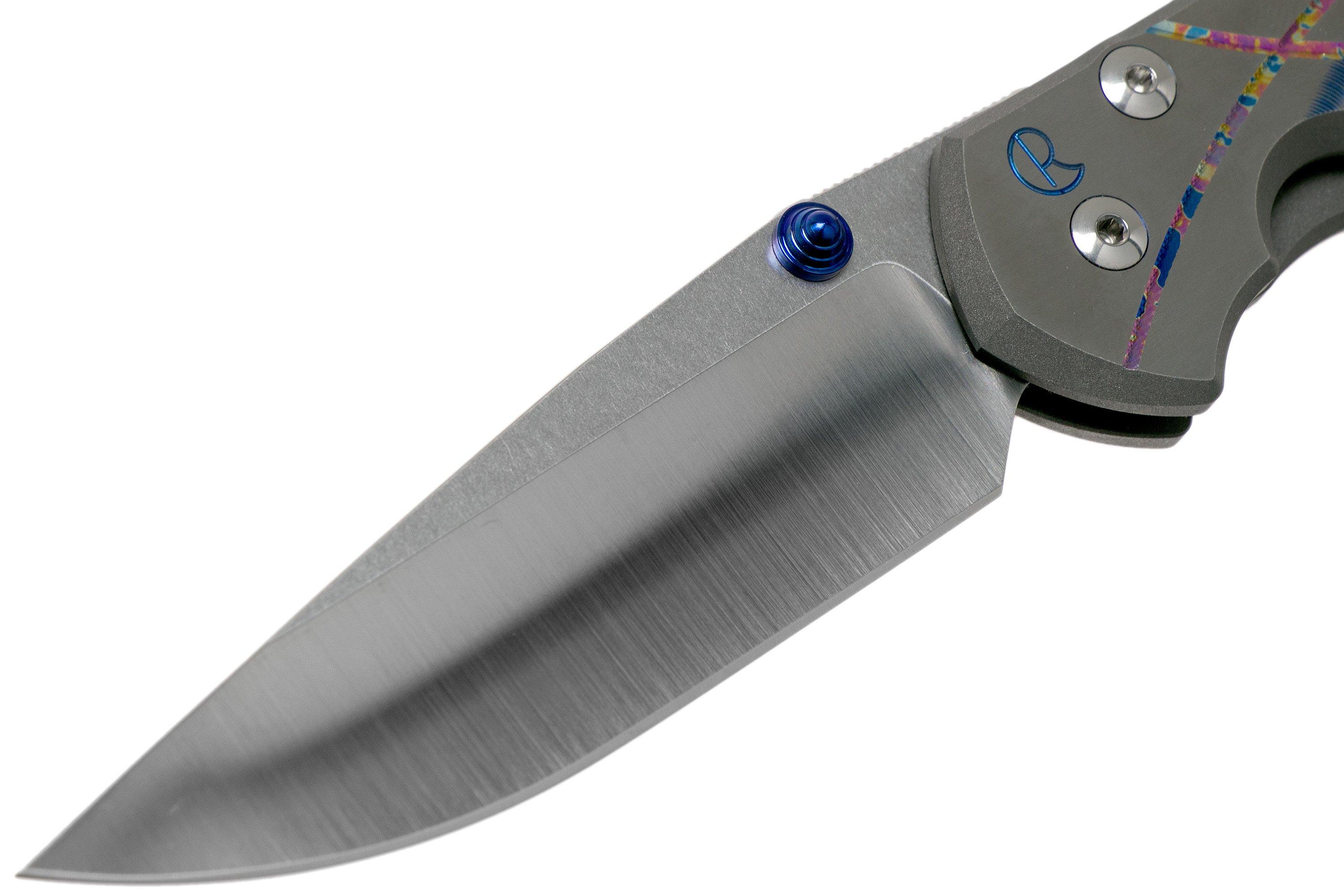 Chris Reeve Large Sebenza 31 Unique Graphics Cabochon Drop Point L31 ...