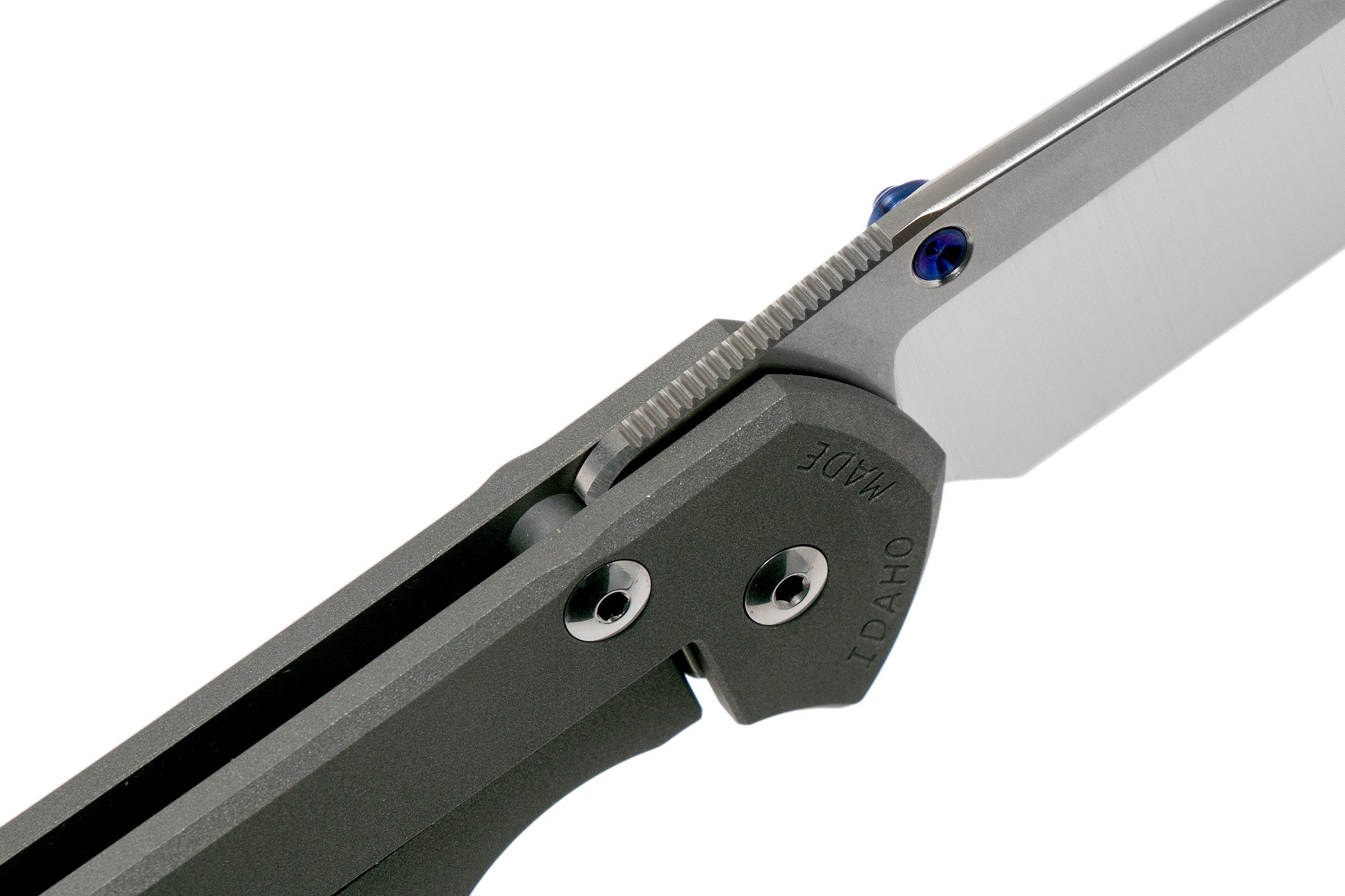 Chris Reeve Large Sebenza 31 Unique Graphics Cabochon Drop Point L31 ...