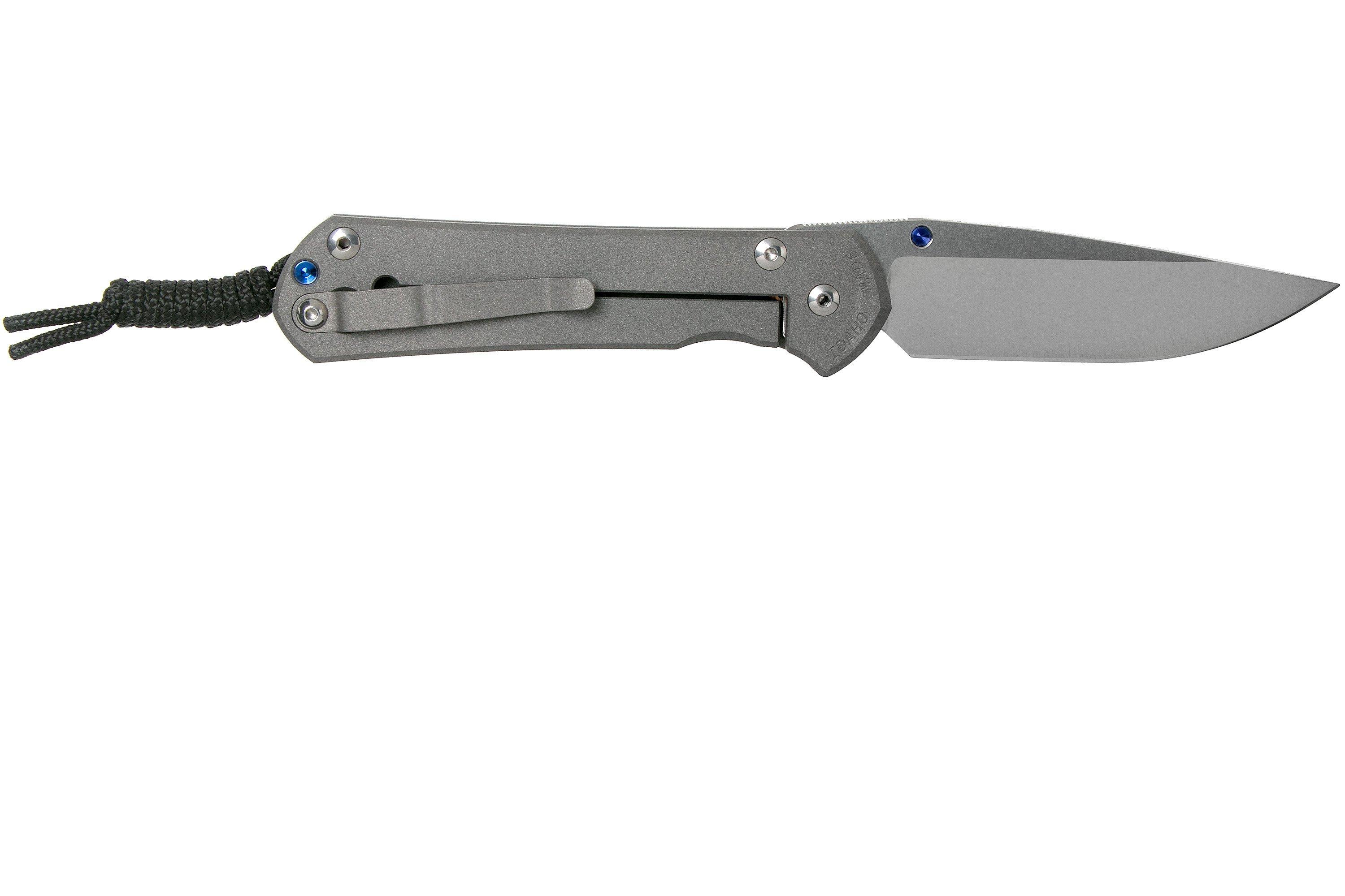 Chris Reeve Large Sebenza 31 Unique Graphics Drop Point L31-1400-20-C ...