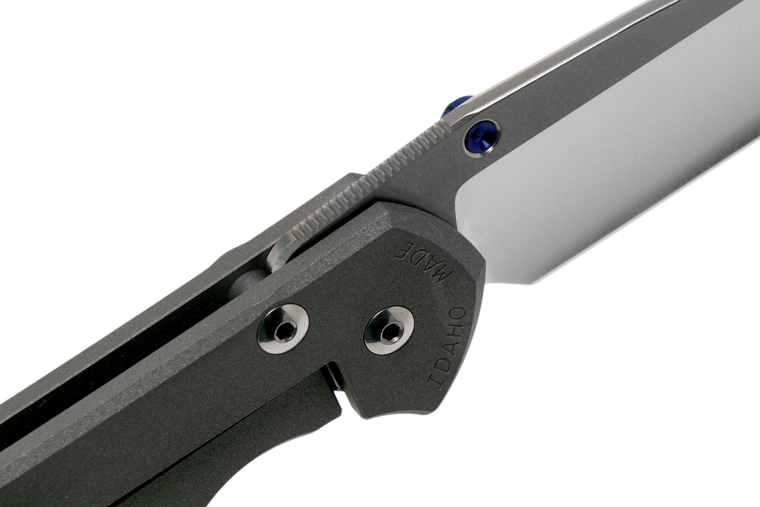 Chris Reeve Large Sebenza 31 Unique Graphics Drop Point L31-1400-20-C ...