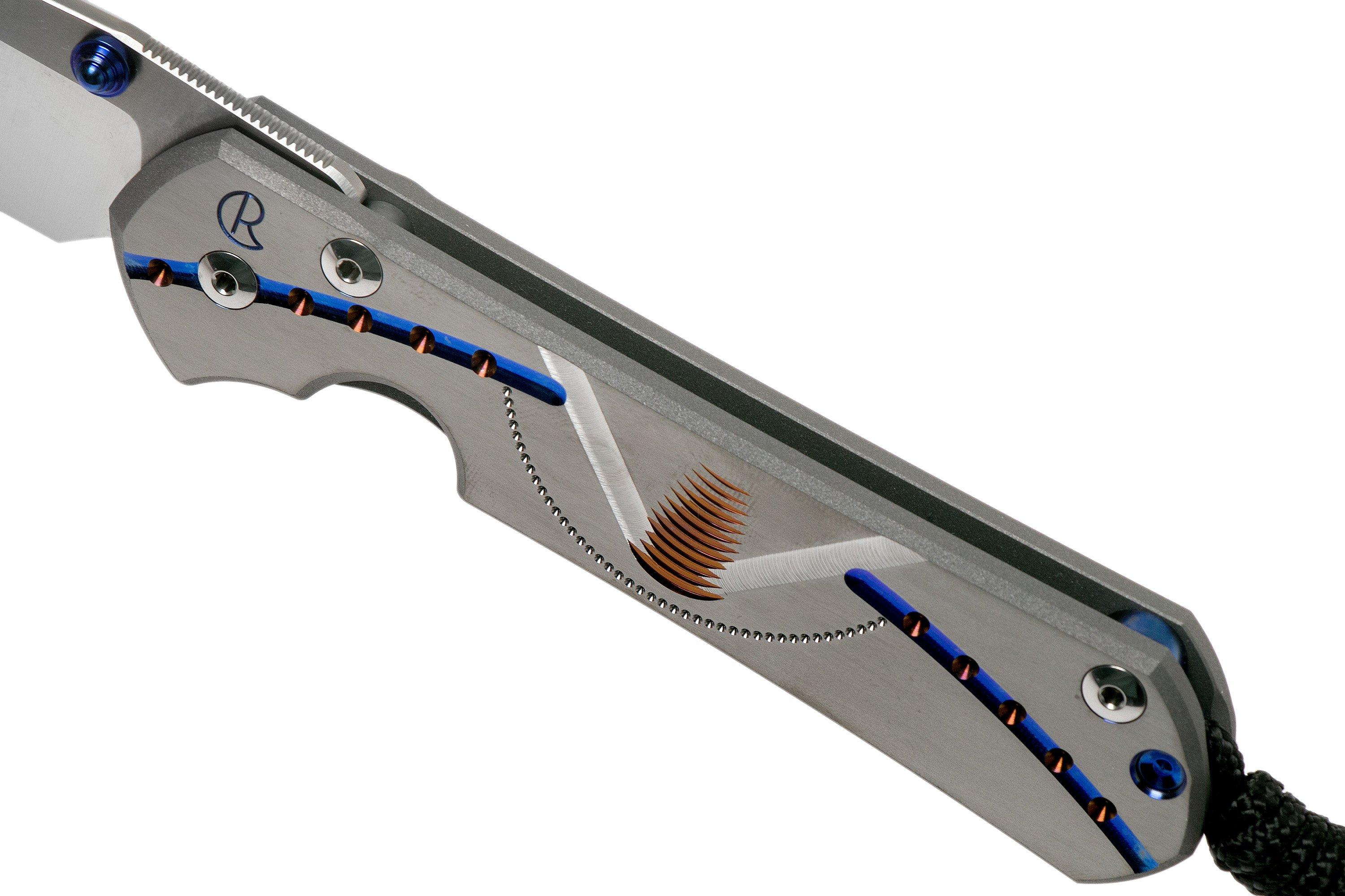 Chris Reeve Large Sebenza 31 Unique Graphics Drop Point L31-1400-20-C ...