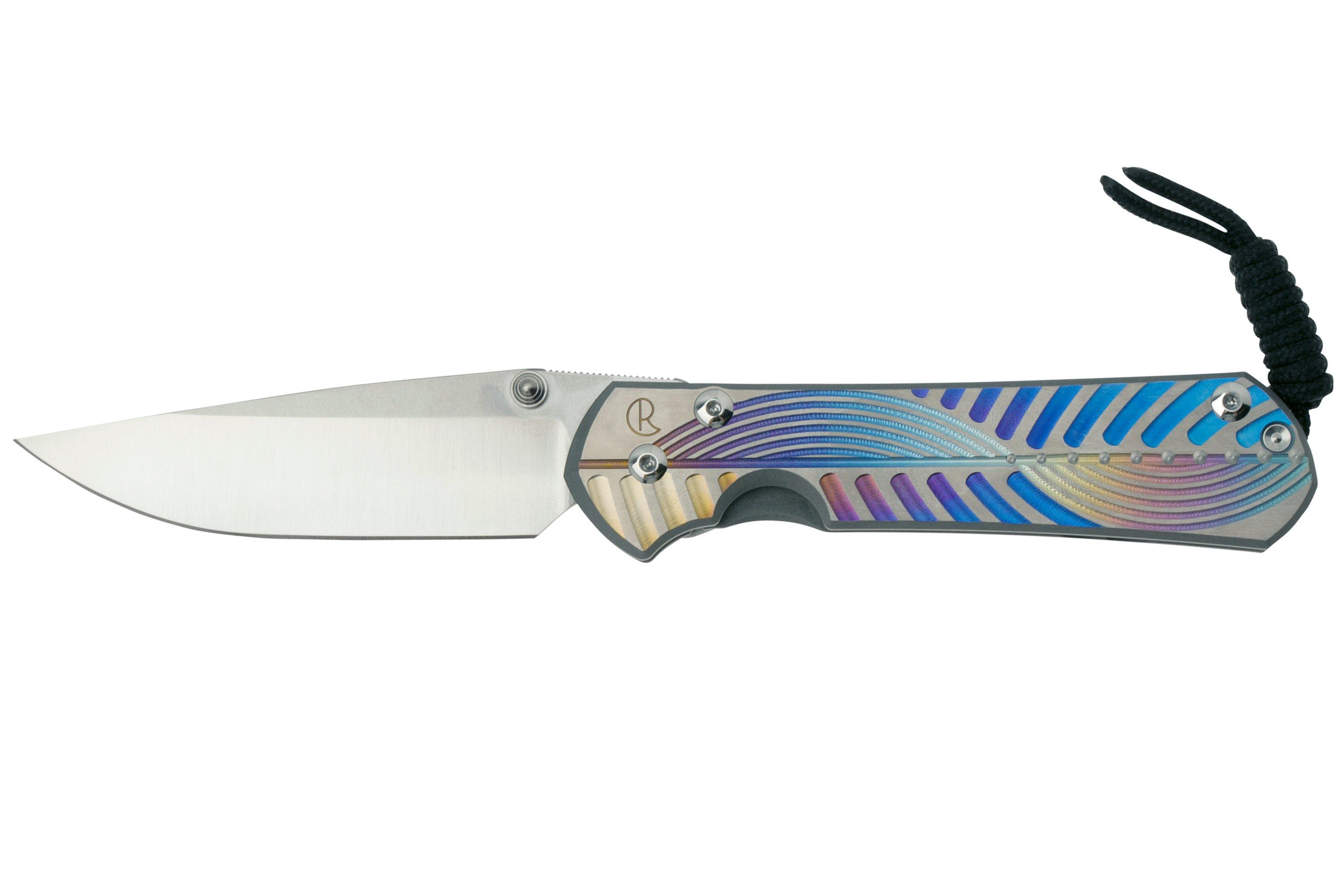 Chris Reeve Large Sebenza 31 Unique Graphics Drop Point L31-1400-20-D ...