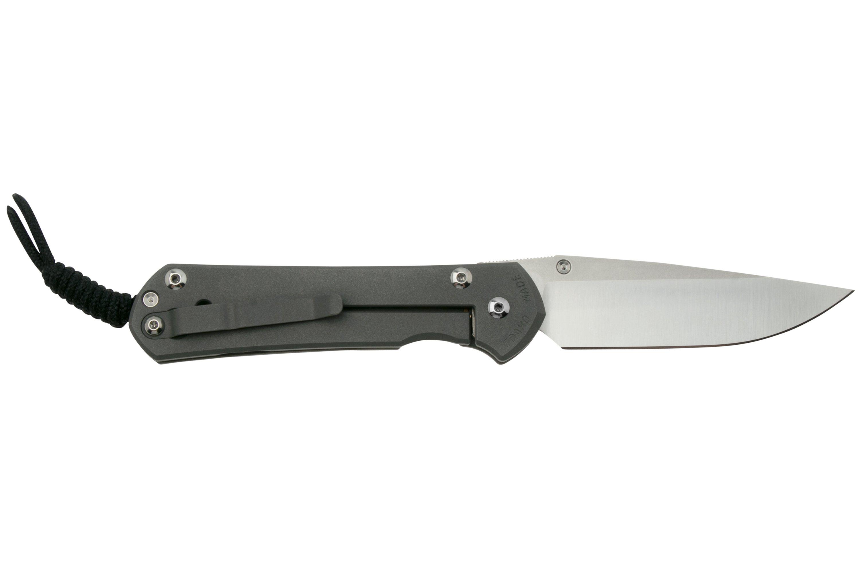 Chris Reeve Large Sebenza 31 Unique Graphics Drop Point L31-1400-20-D ...