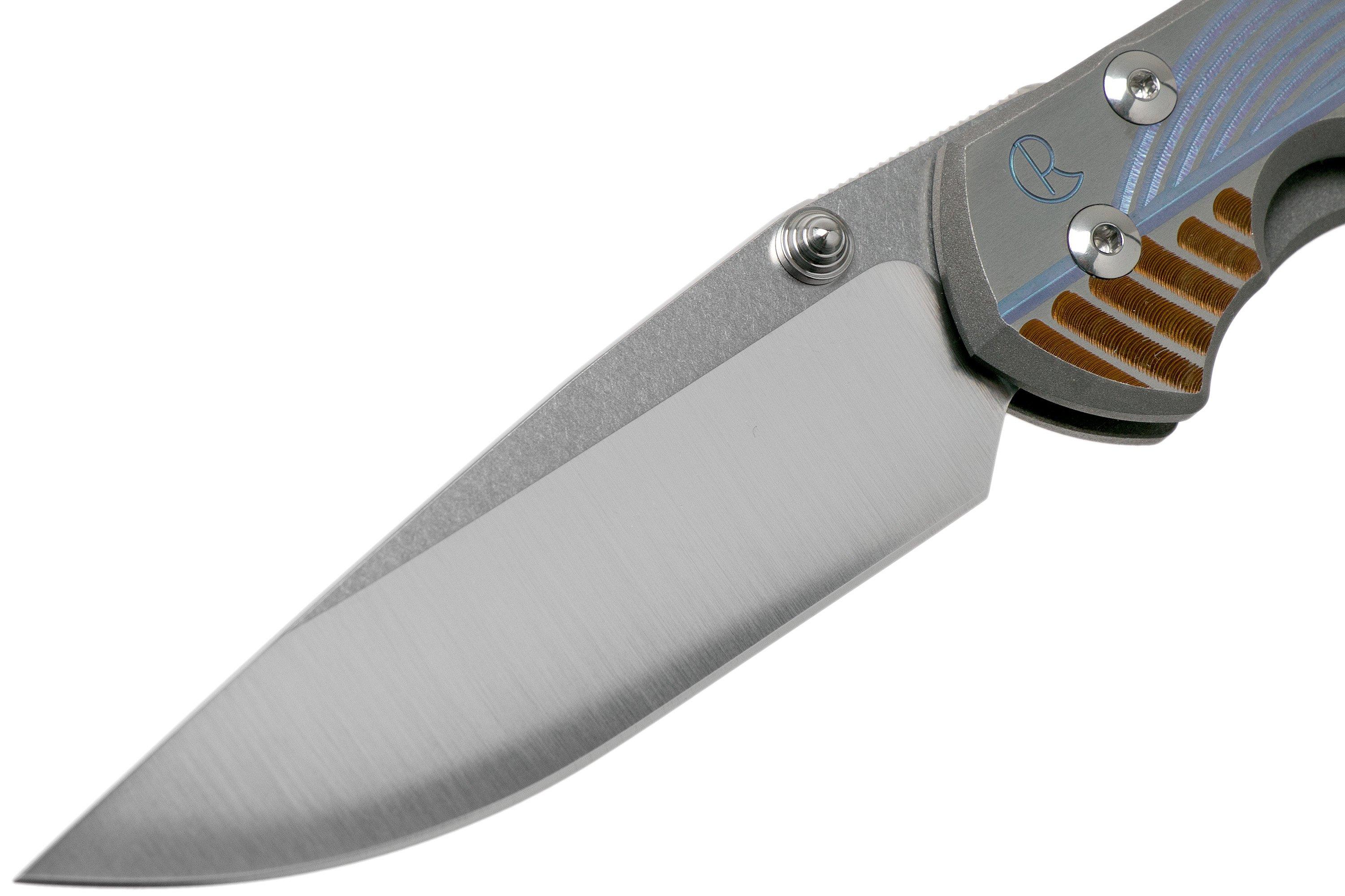 Chris Reeve Large Sebenza 31 Unique Graphics Drop Point L31-1400-20-D ...