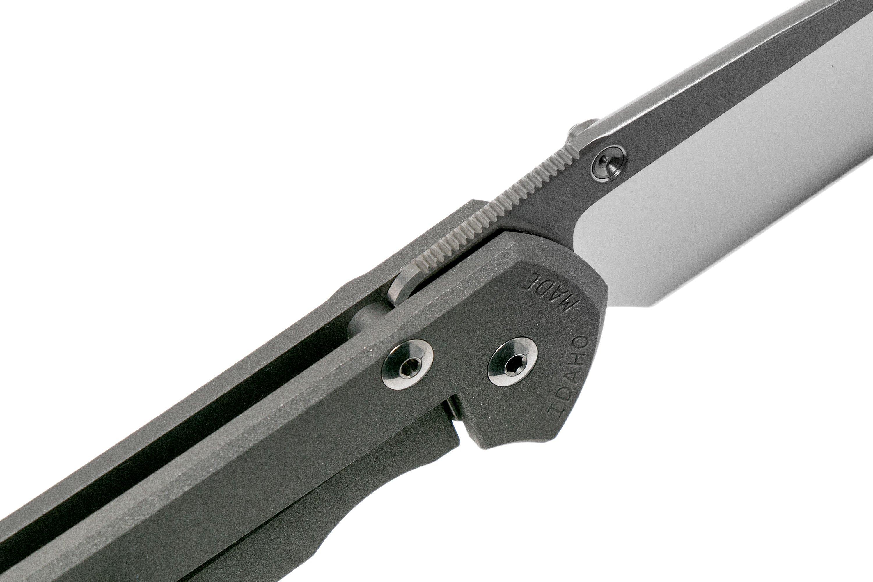 Chris Reeve Large Sebenza 31 Unique Graphics Drop Point L31-1400-20-D ...