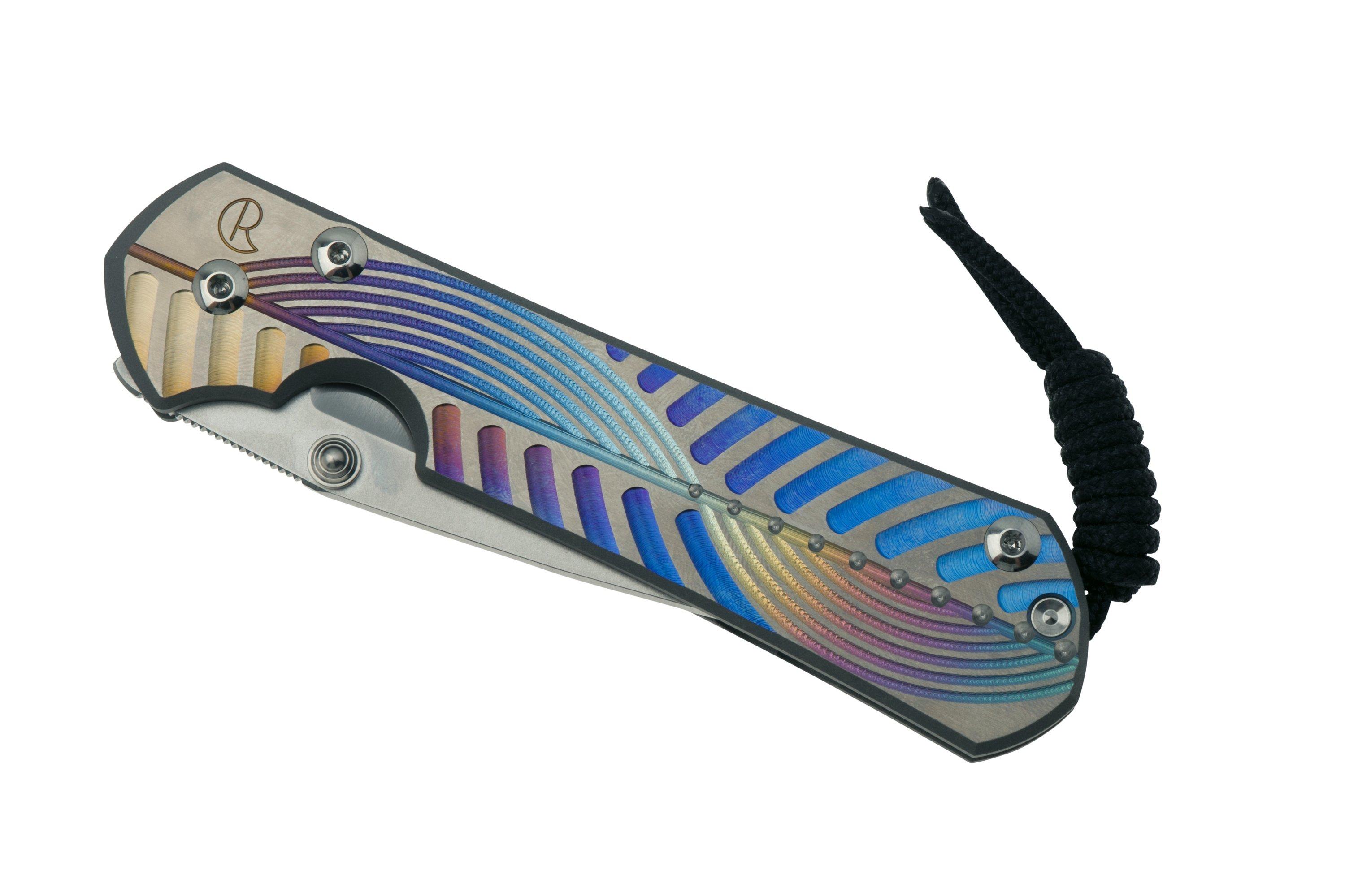 Chris Reeve Large Sebenza 31 Unique Graphics Drop Point L31-1400-20-D ...