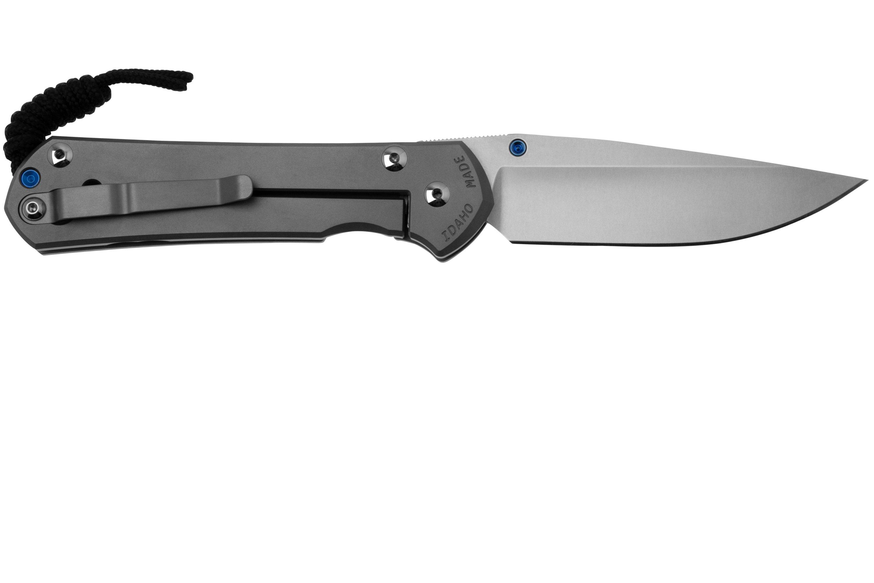 Chris Reeve Large Sebenza 31 MagnaCut Drop Point, Glass Blasted L31 ...