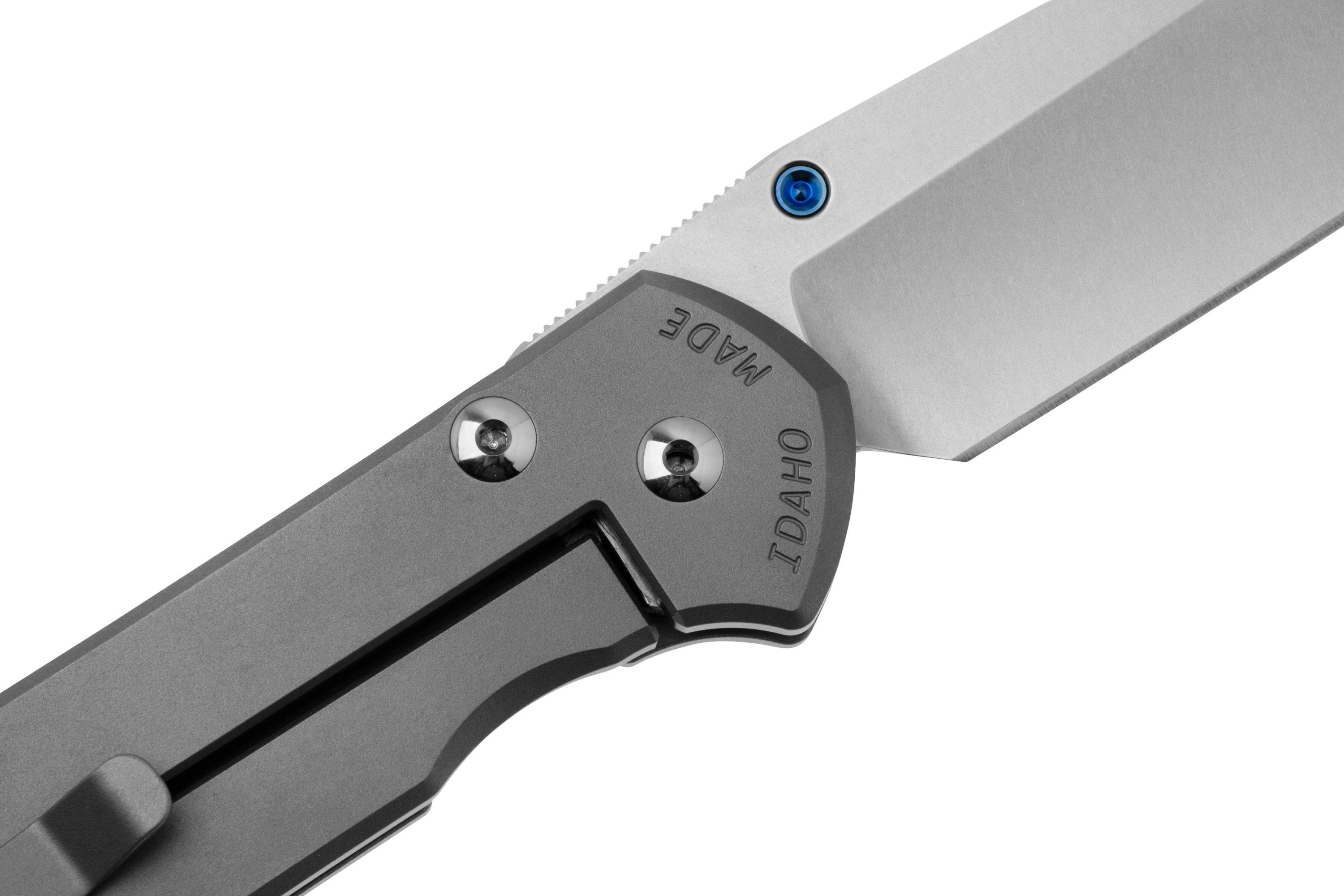 Chris Reeve Large Sebenza 31 MagnaCut Drop Point, Glass Blasted L31 ...