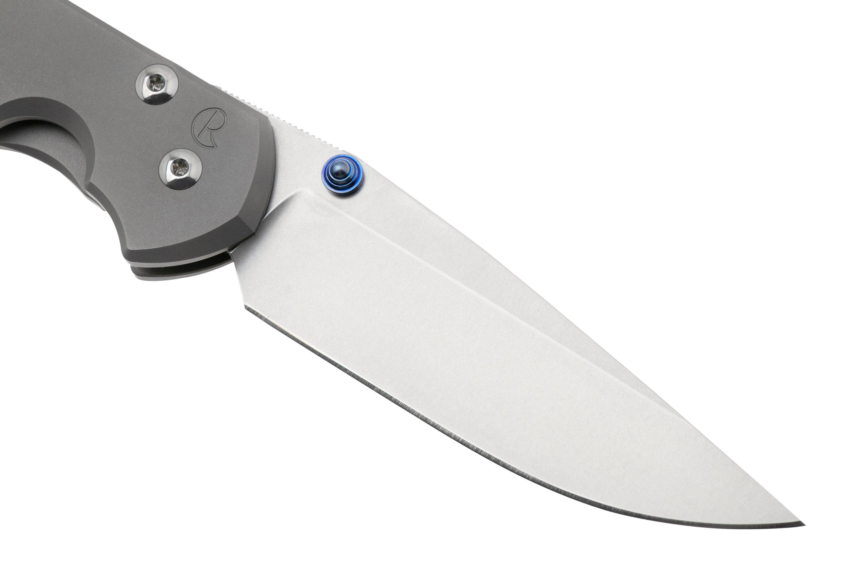 Chris Reeve Sebenza 31 Large Plain L31-1645 left-handed pocket knife ...