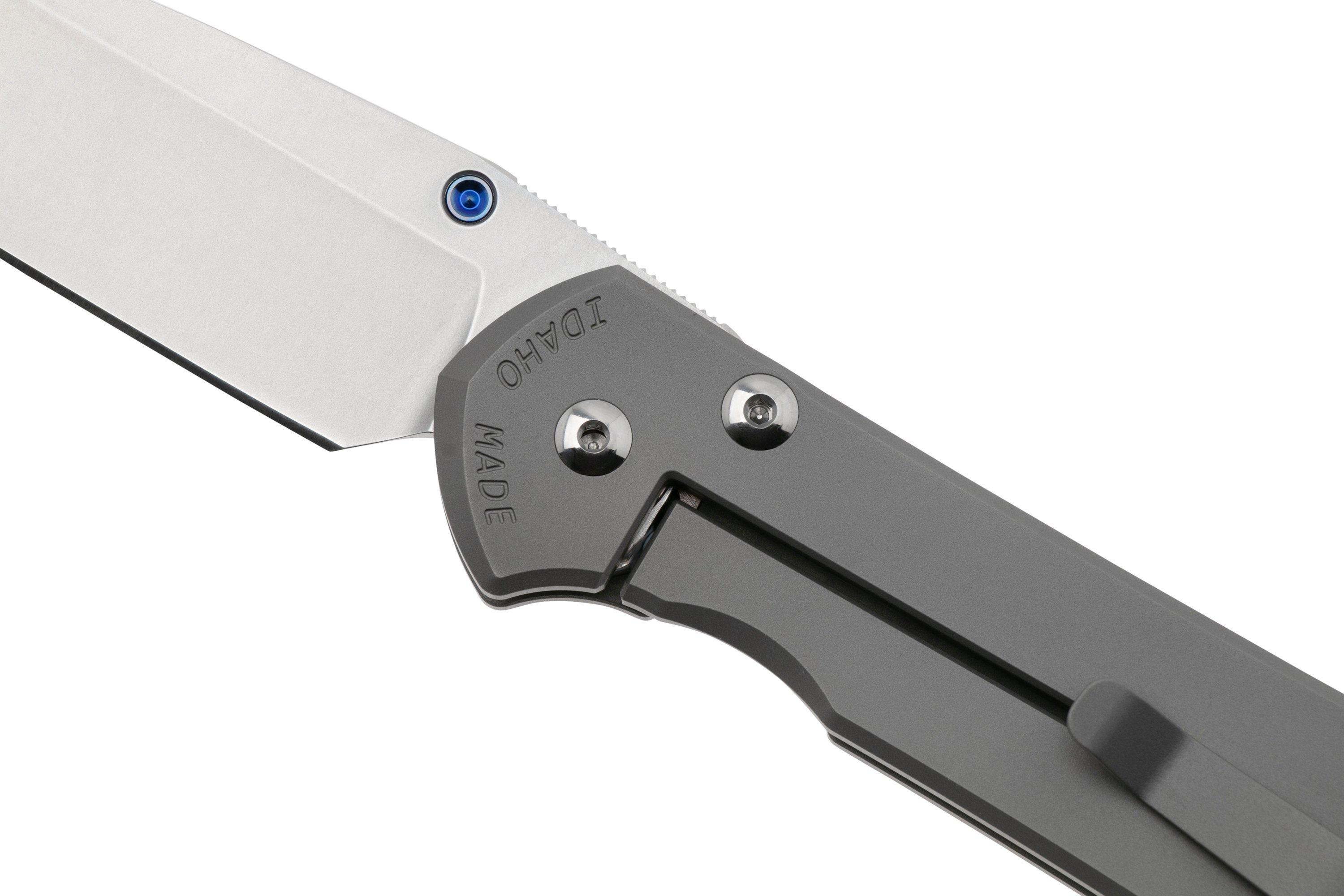 Chris Reeve Sebenza 31 Large Plain L31-1645 left-handed pocket knife ...