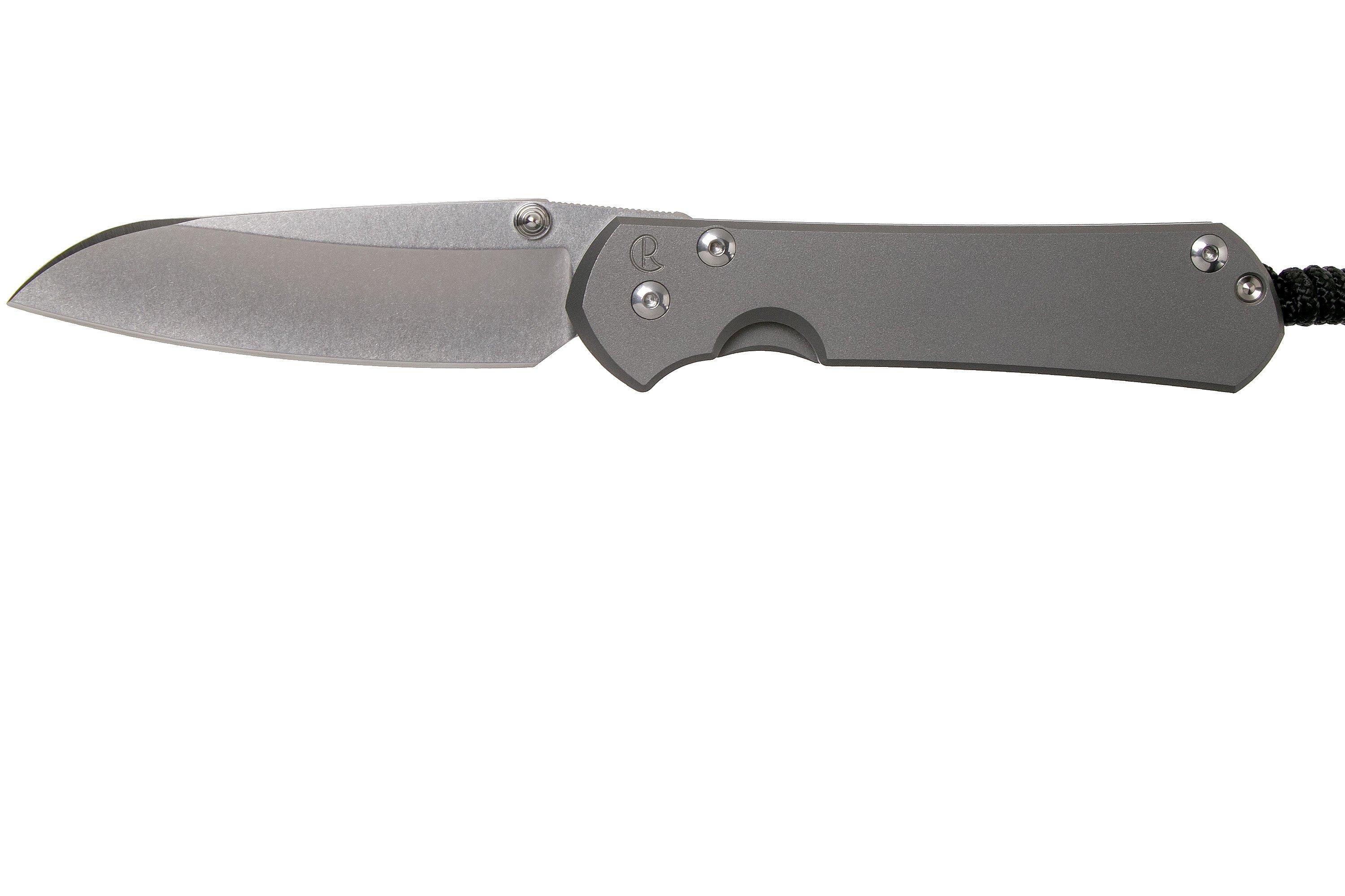 Chris Reeve Sebenza 31 Large Plain Glass Blasted Insingo L31-1685 ...