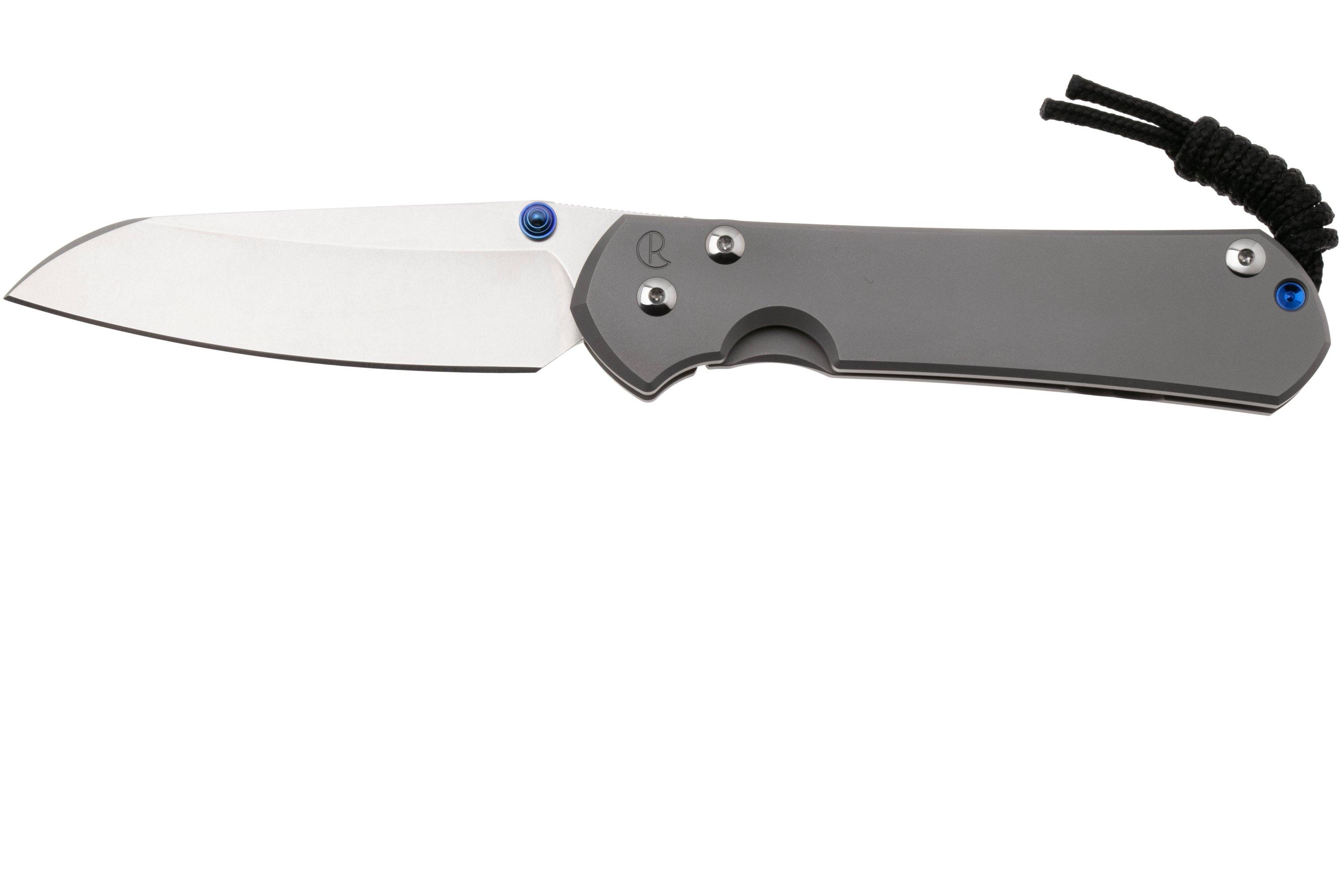 Chris Reeve Sebenza 31 Large Plain Glass Blasted Insingo L31-1685 ...