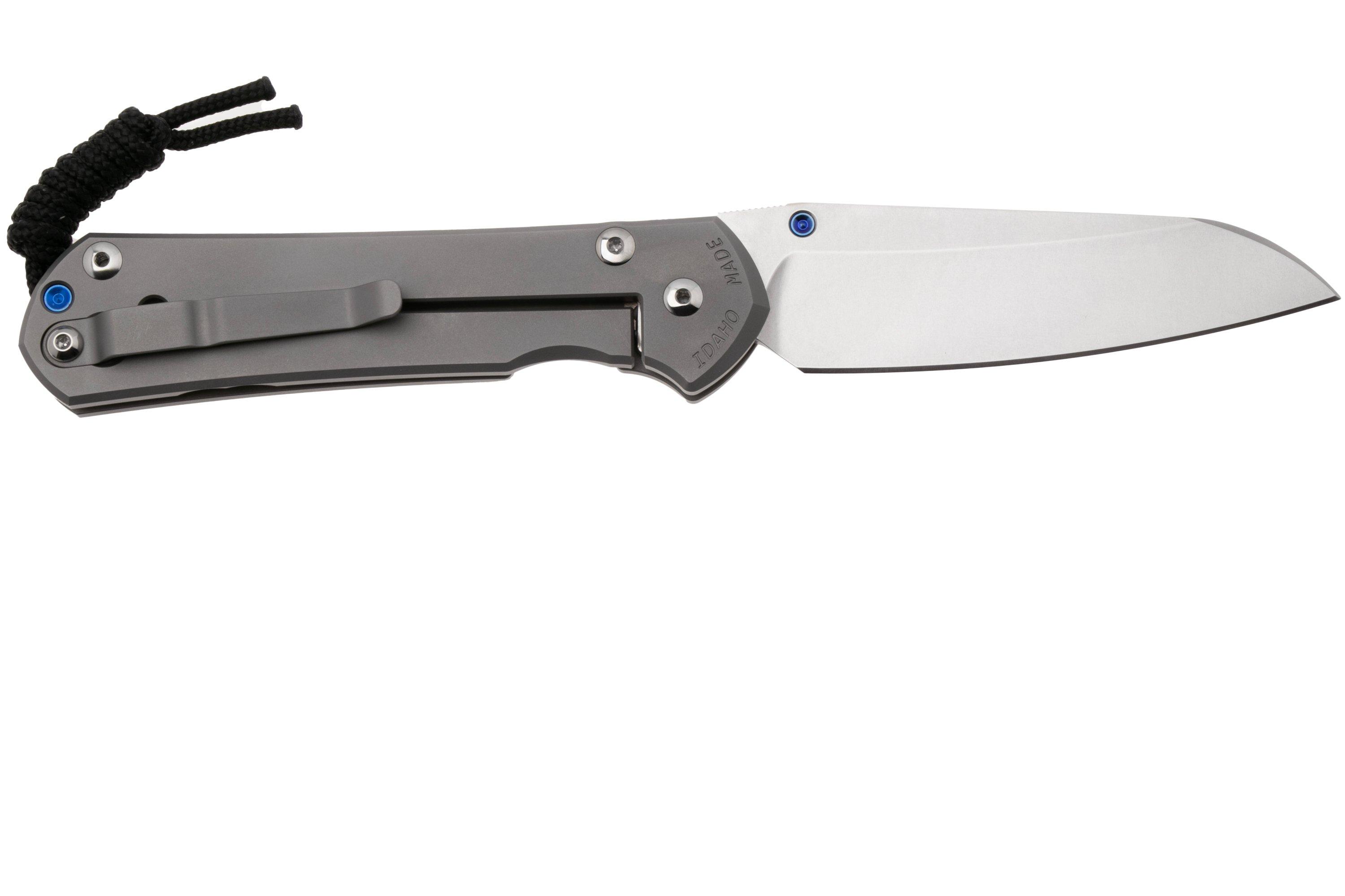 Nóż składany Chris Reeve Sebenza 31 Large Plain Glass Blasted Insingo ...