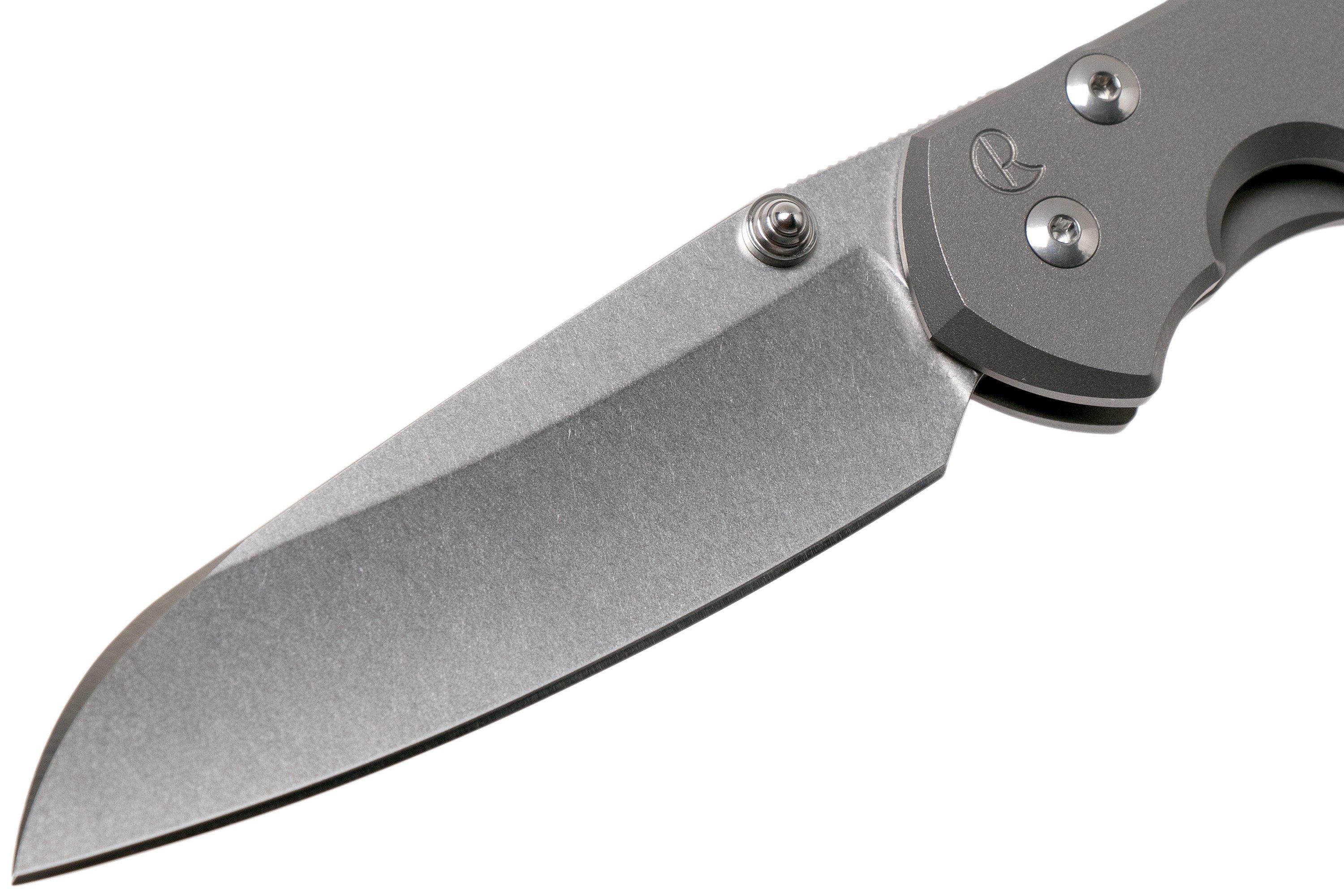 Chris Reeve Sebenza 31 Large Plain Glass Blasted Insingo L31-1685 ...