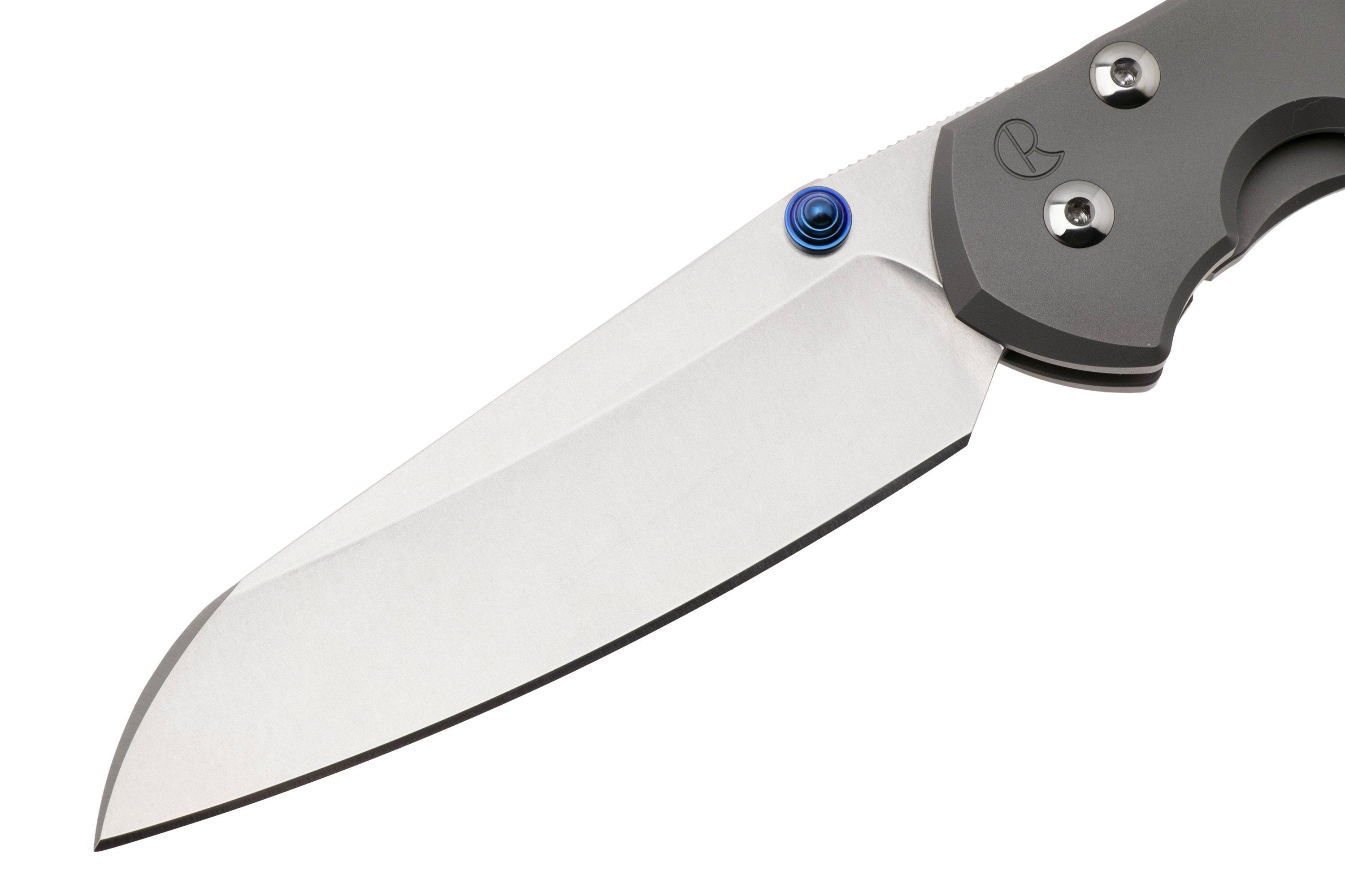 Chris Reeve Sebenza 31 Large Plain Glass Blasted Insingo L31-1685 ...