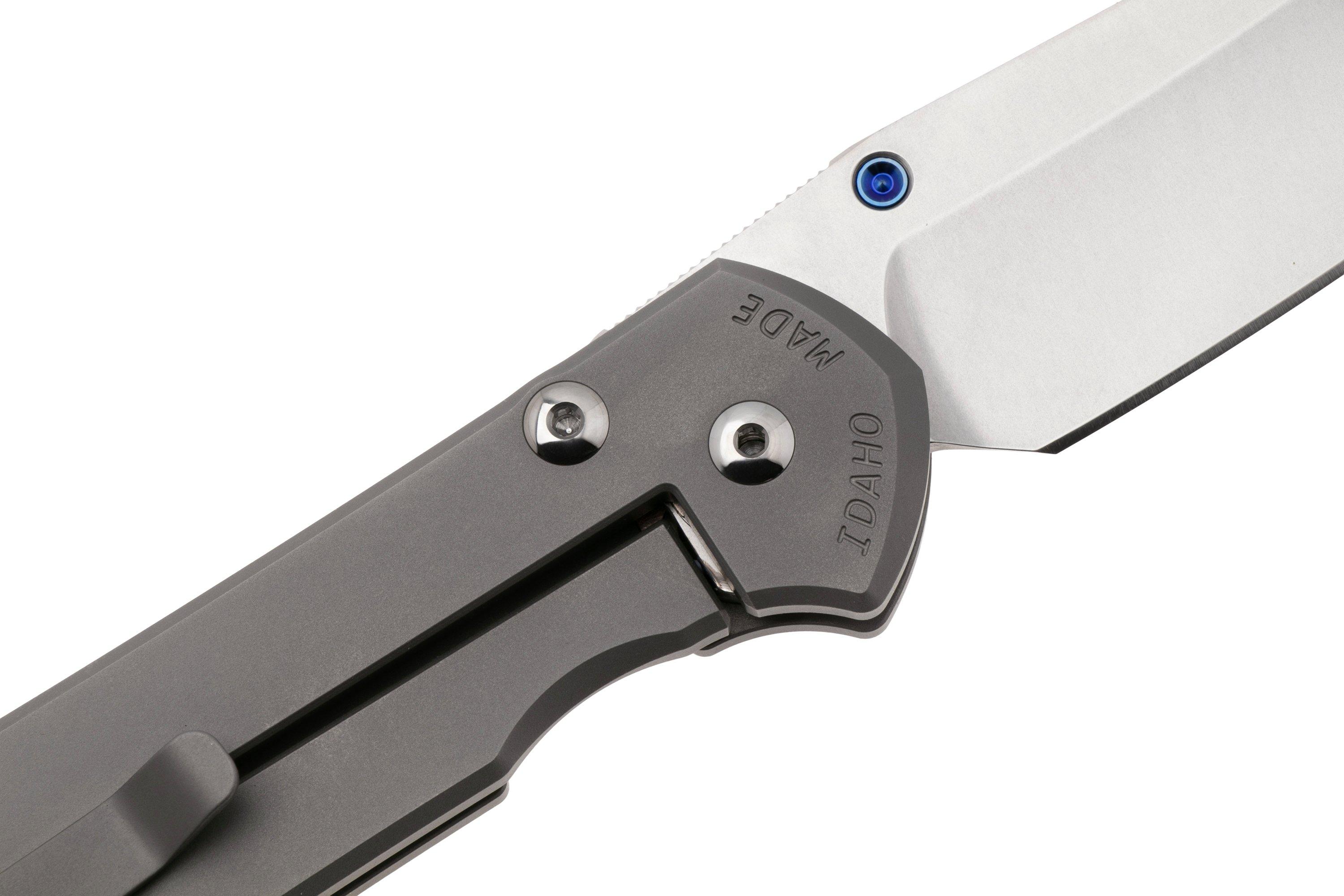 Chris Reeve Sebenza 31 Large Plain Glass Blasted Insingo L31-1685 ...