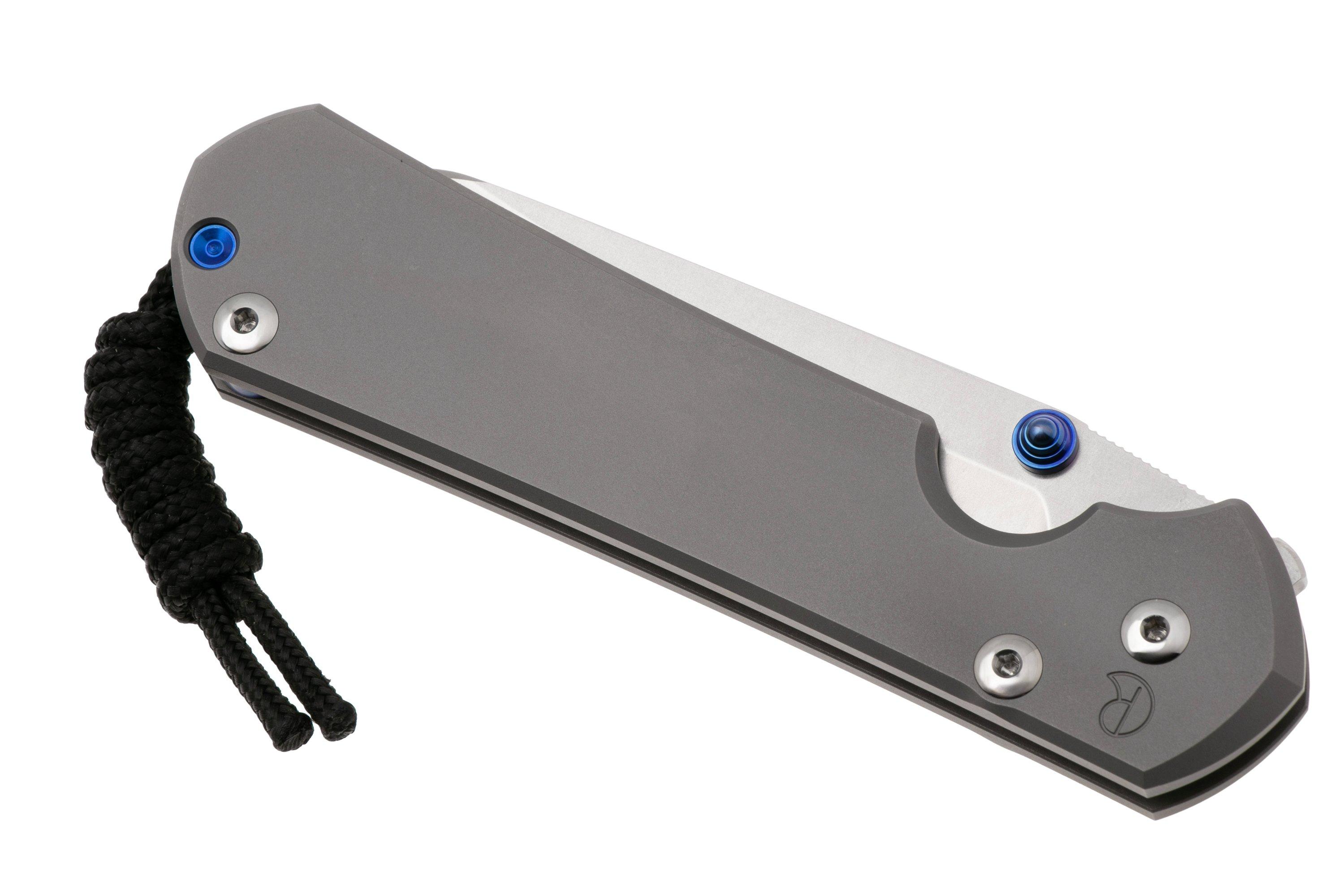 Nóż składany Chris Reeve Sebenza 31 Large Plain Glass Blasted Insingo ...