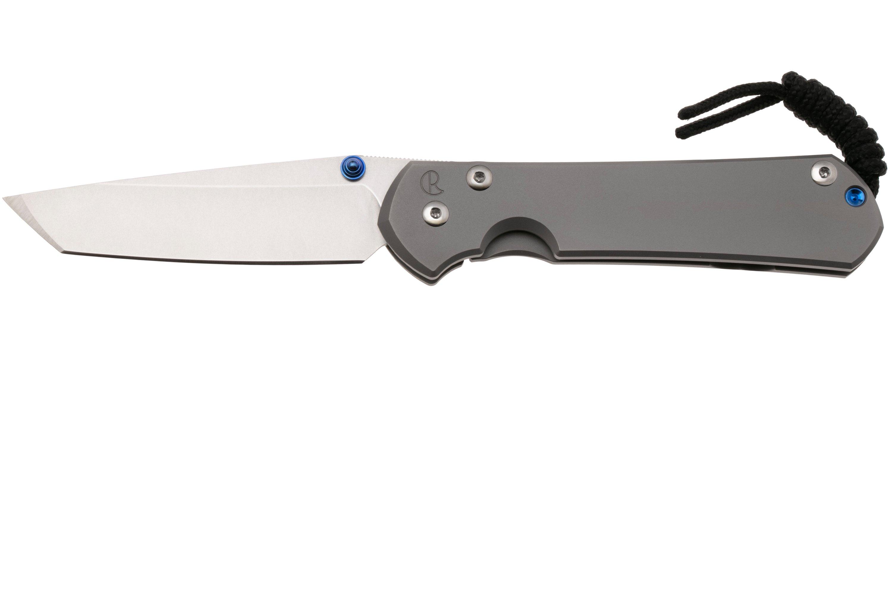 Chris Reeve L31-1687 Large Sebenza 31, Stonewashed MagnaCut, Plain ...
