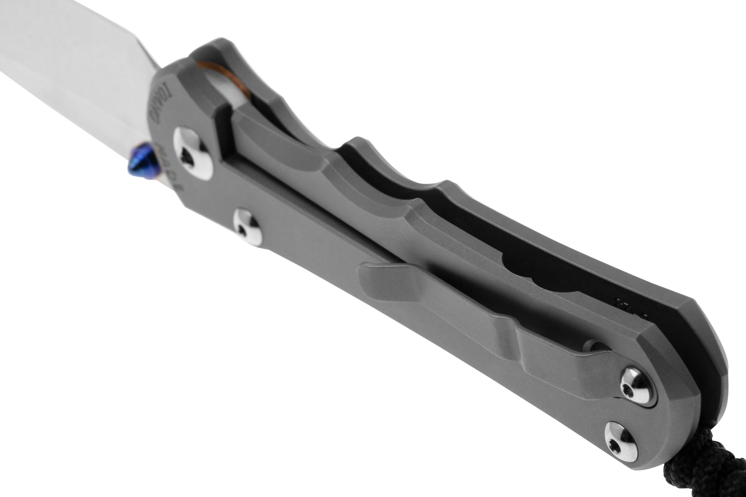 Chris Reeve Large Inkosi LIN-1122 CPM MagnaCut Insingo, Plain Glass ...