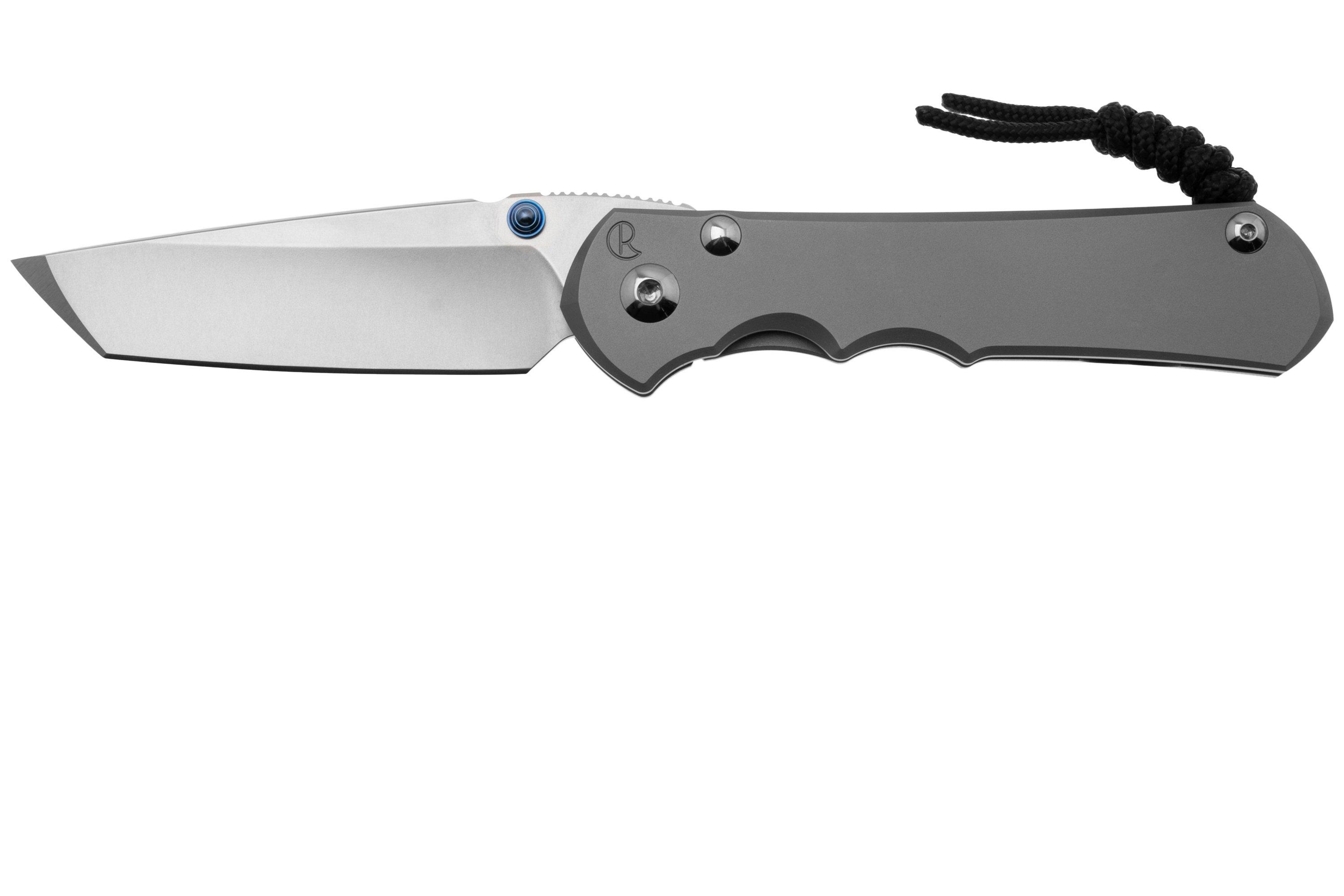 Chris Reeve Large Inkosi LIN-1130 MagnaCut Tanto, Plain, Glass Blasted ...